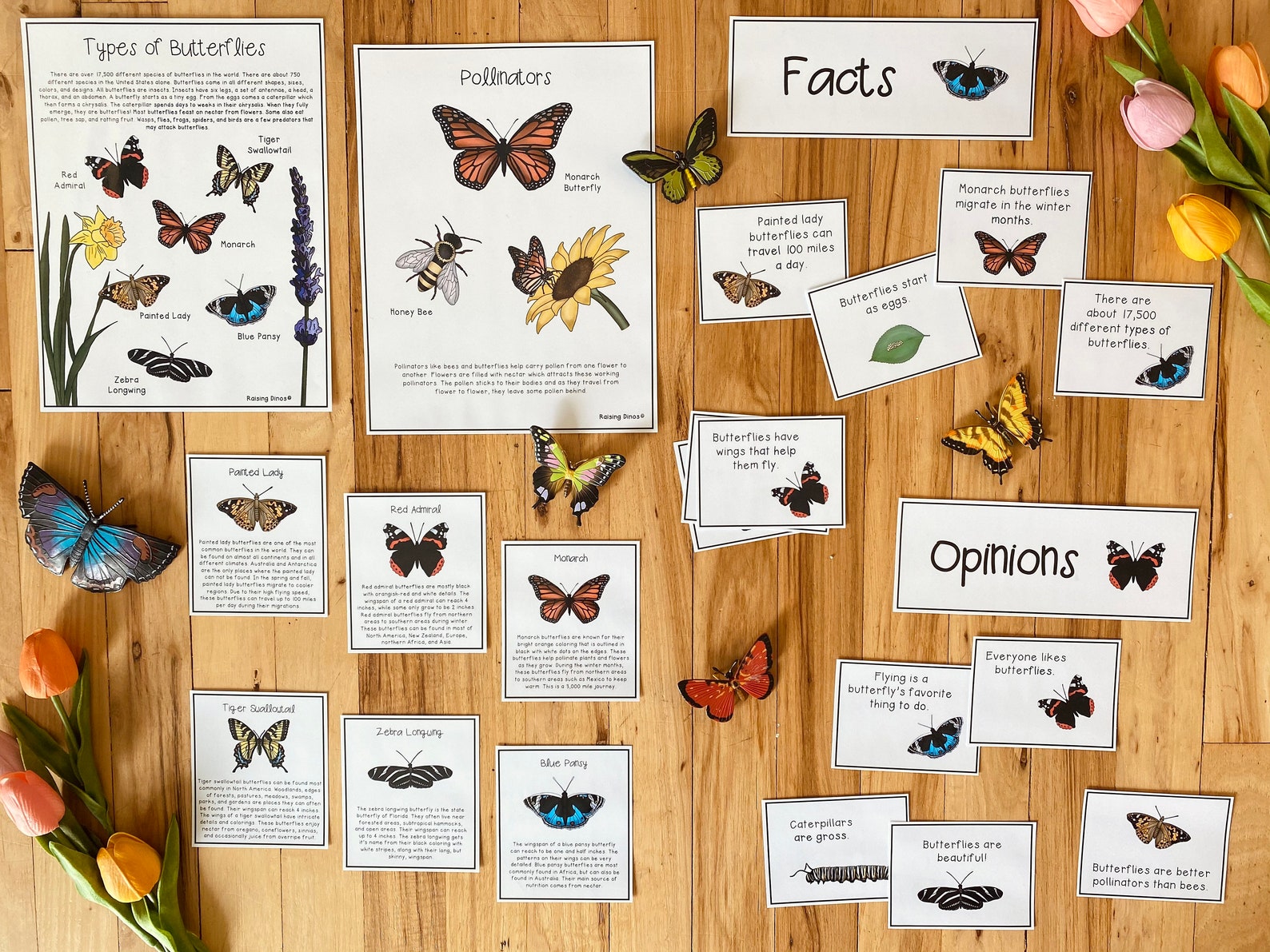 Butterfly Unit: Science Pack | Etsy