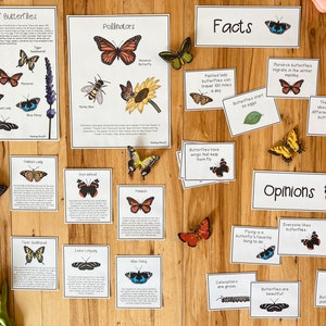 Butterfly Unit: Science Pack - Etsy