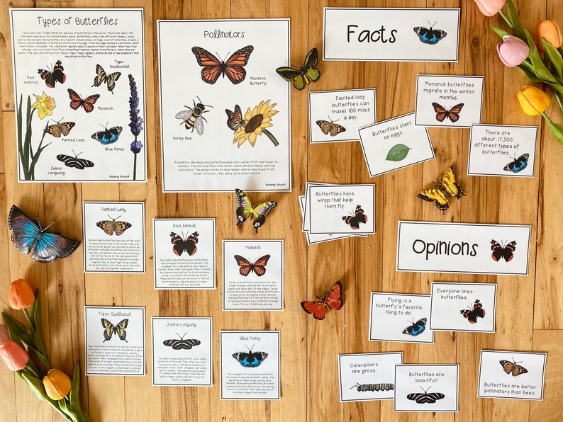 Butterfly Unit: Science Pack - Etsy