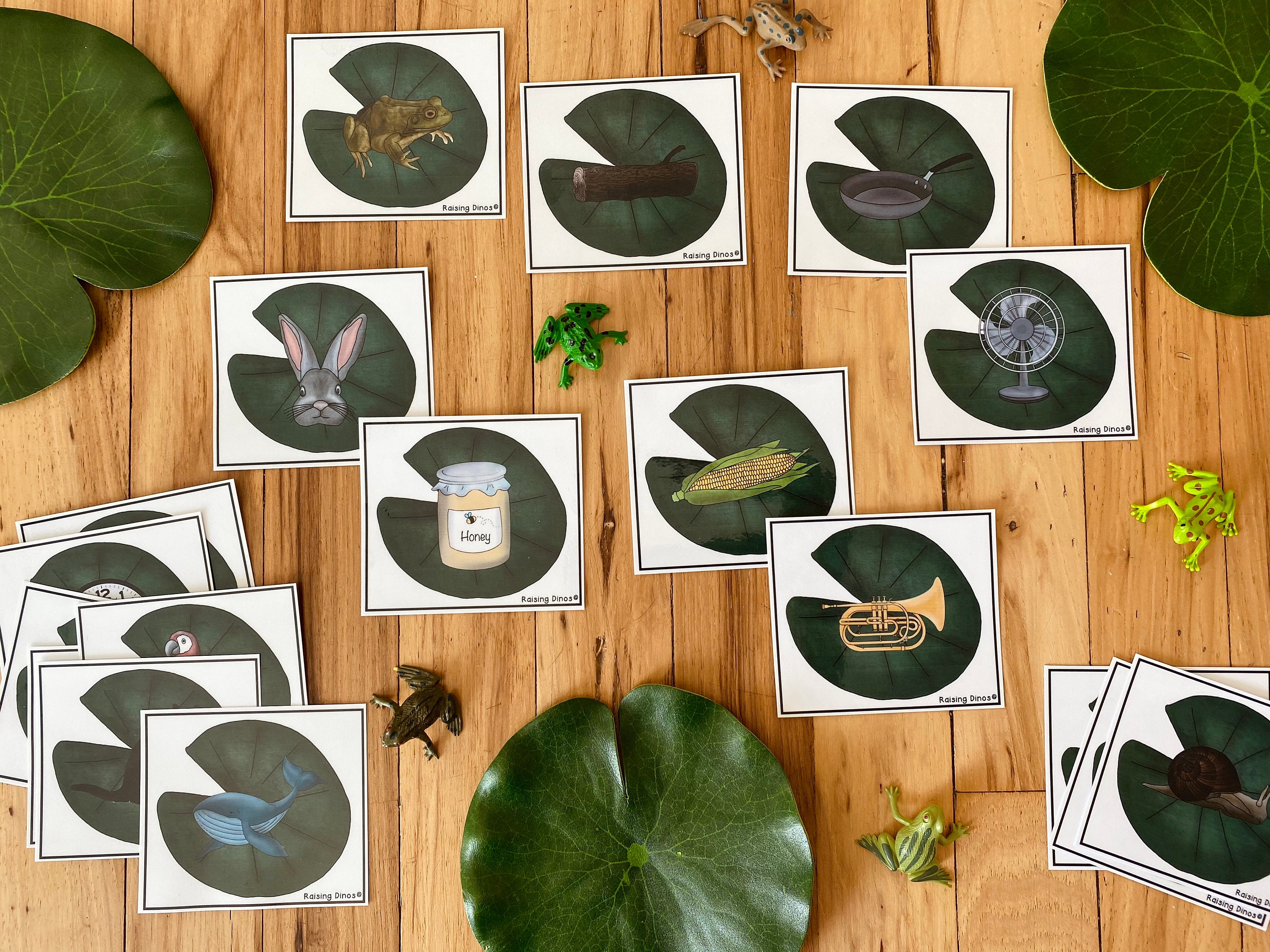 Pond Unit: Literacy Pack | Etsy