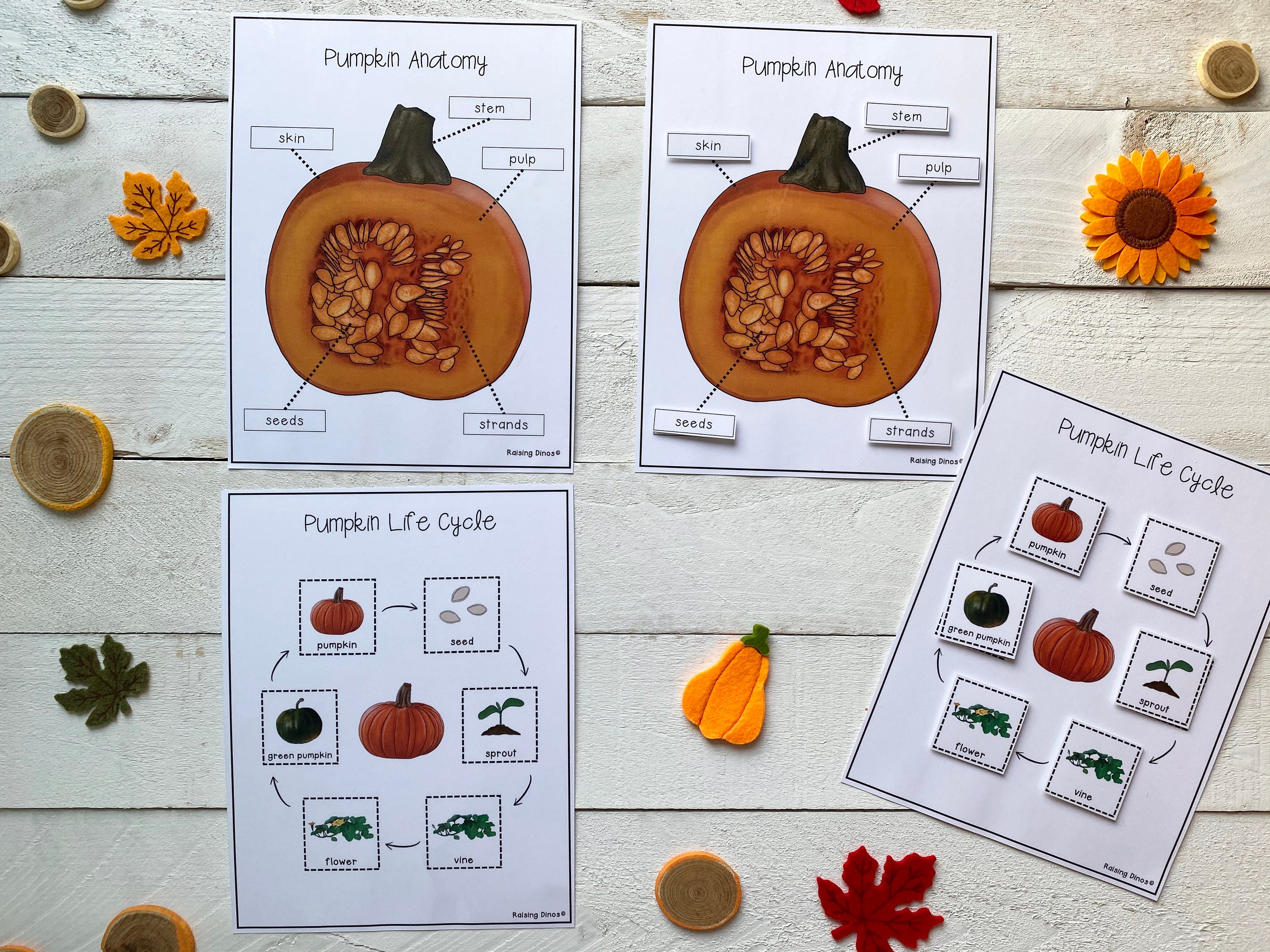 Fall Unit: Science Pack | Etsy