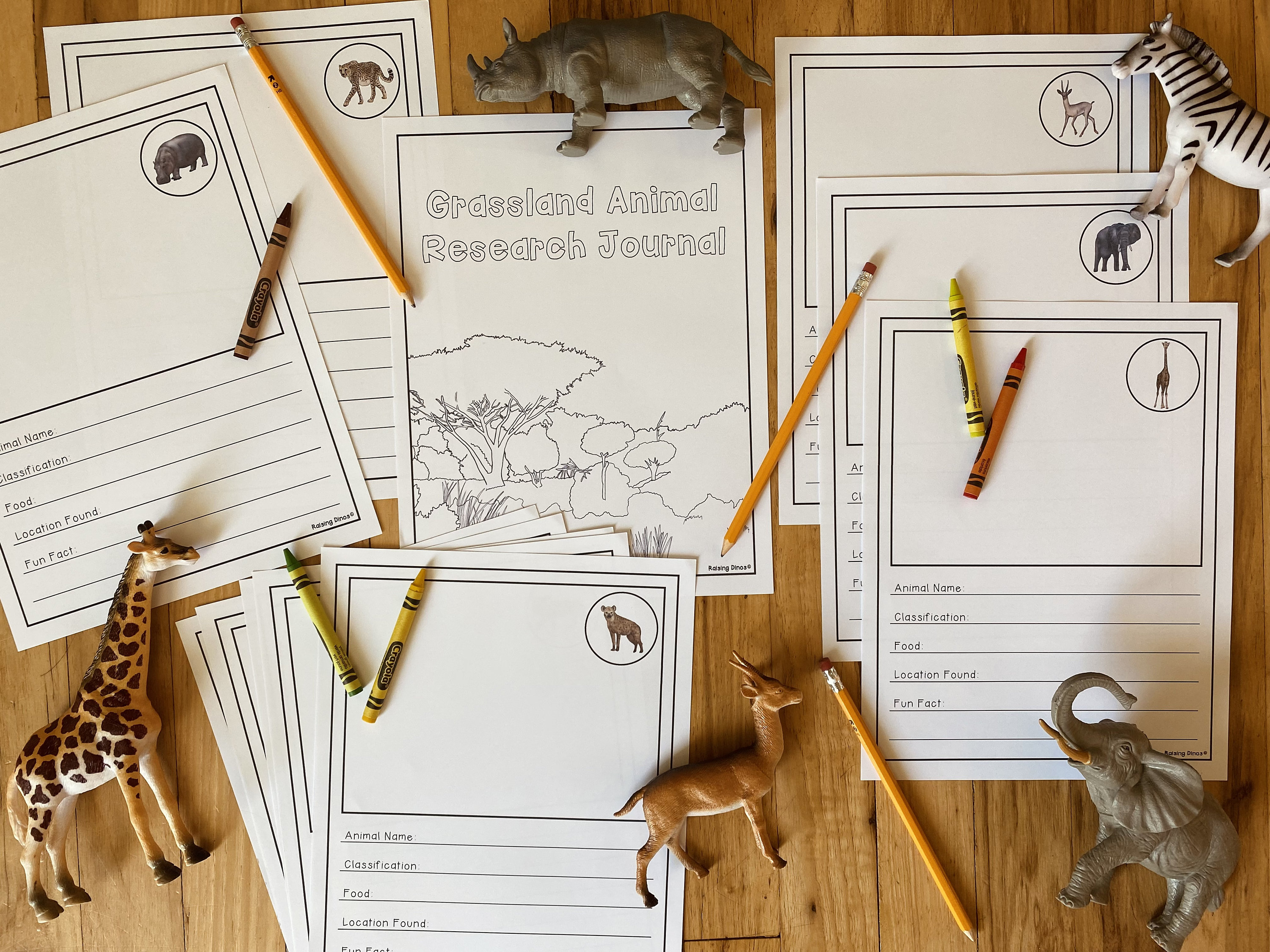 Grassland Animals Unit: Science Pack | Etsy