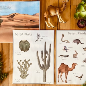 Desert Unit: Science Pack - Etsy