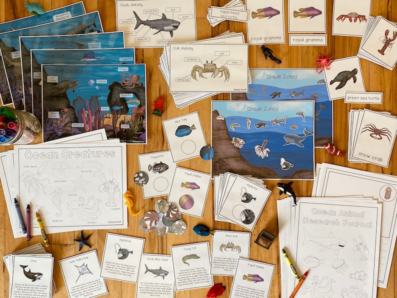 Ocean Unit Bundle - Etsy