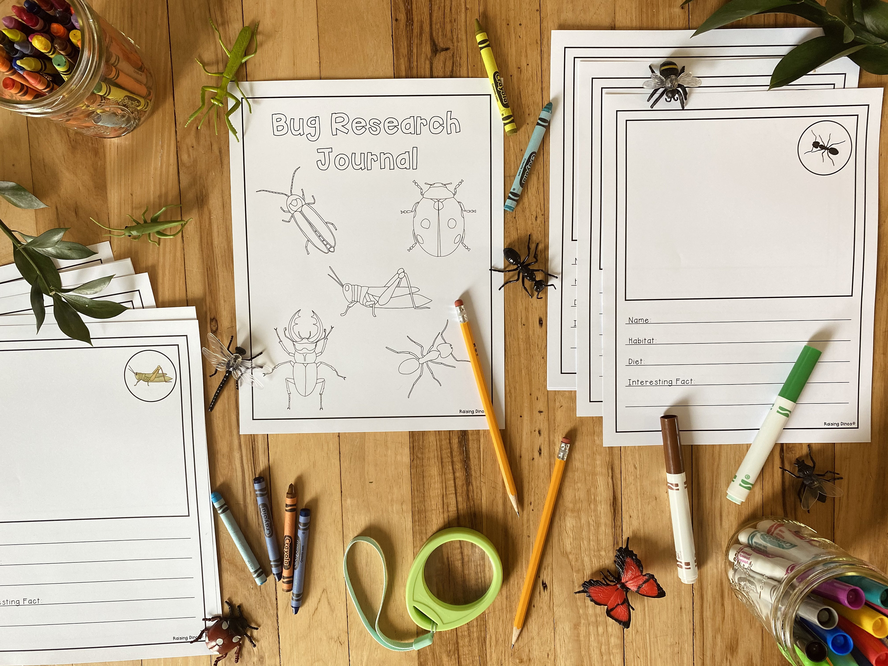 Bug Unit: Science Pack - Etsy