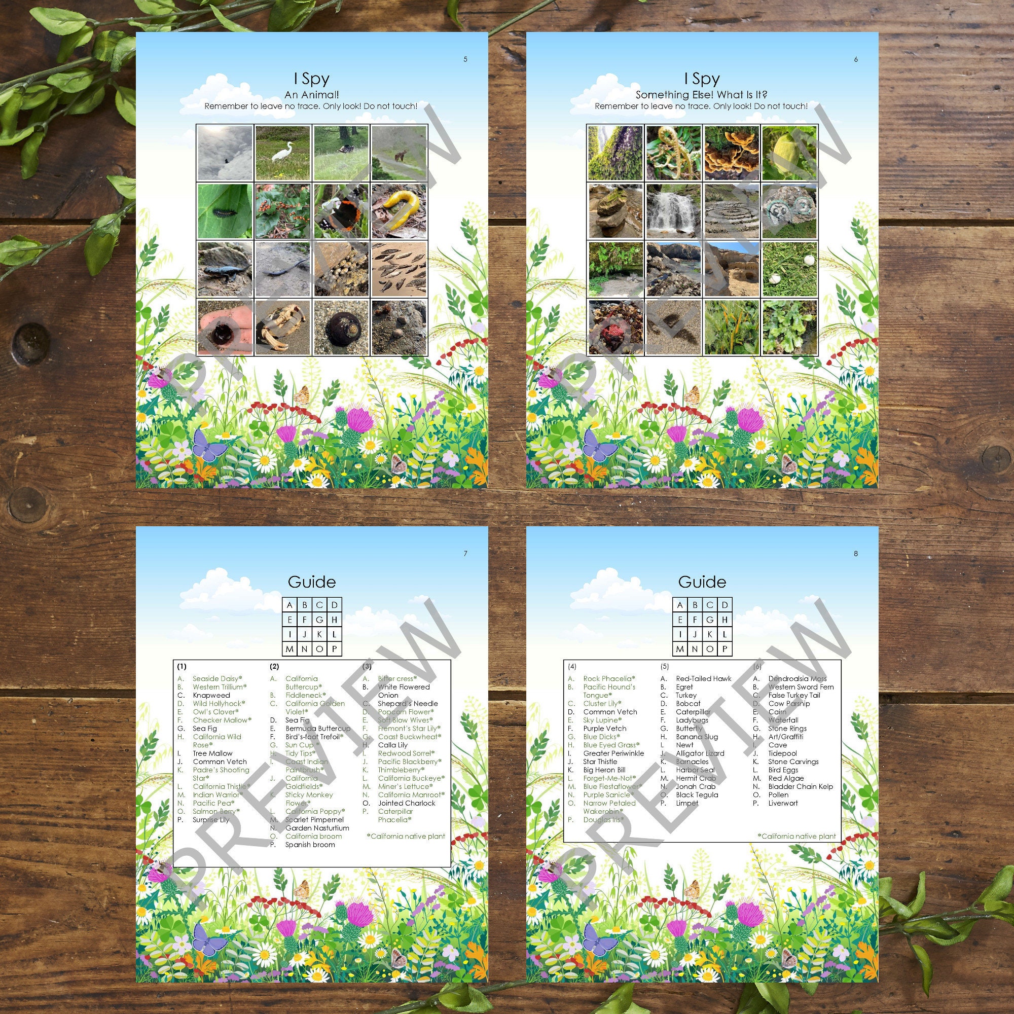 Outdoor or Nature I Spy Template Complete Bundle + Norcal Exclusive ...