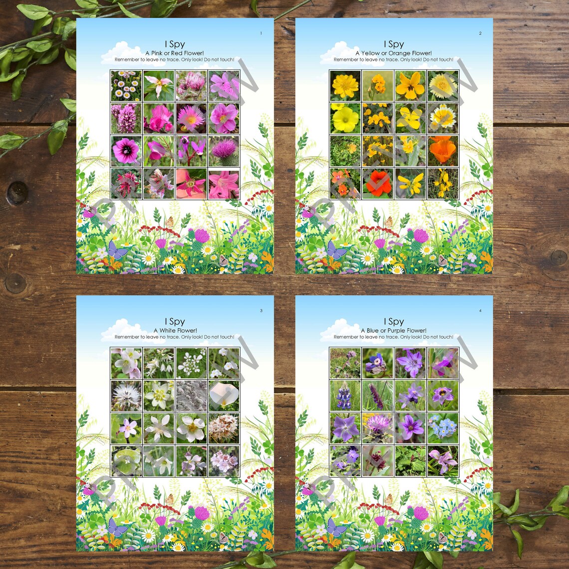 Outdoor or Nature I Spy Template Complete Bundle Norcal Exclusive ...