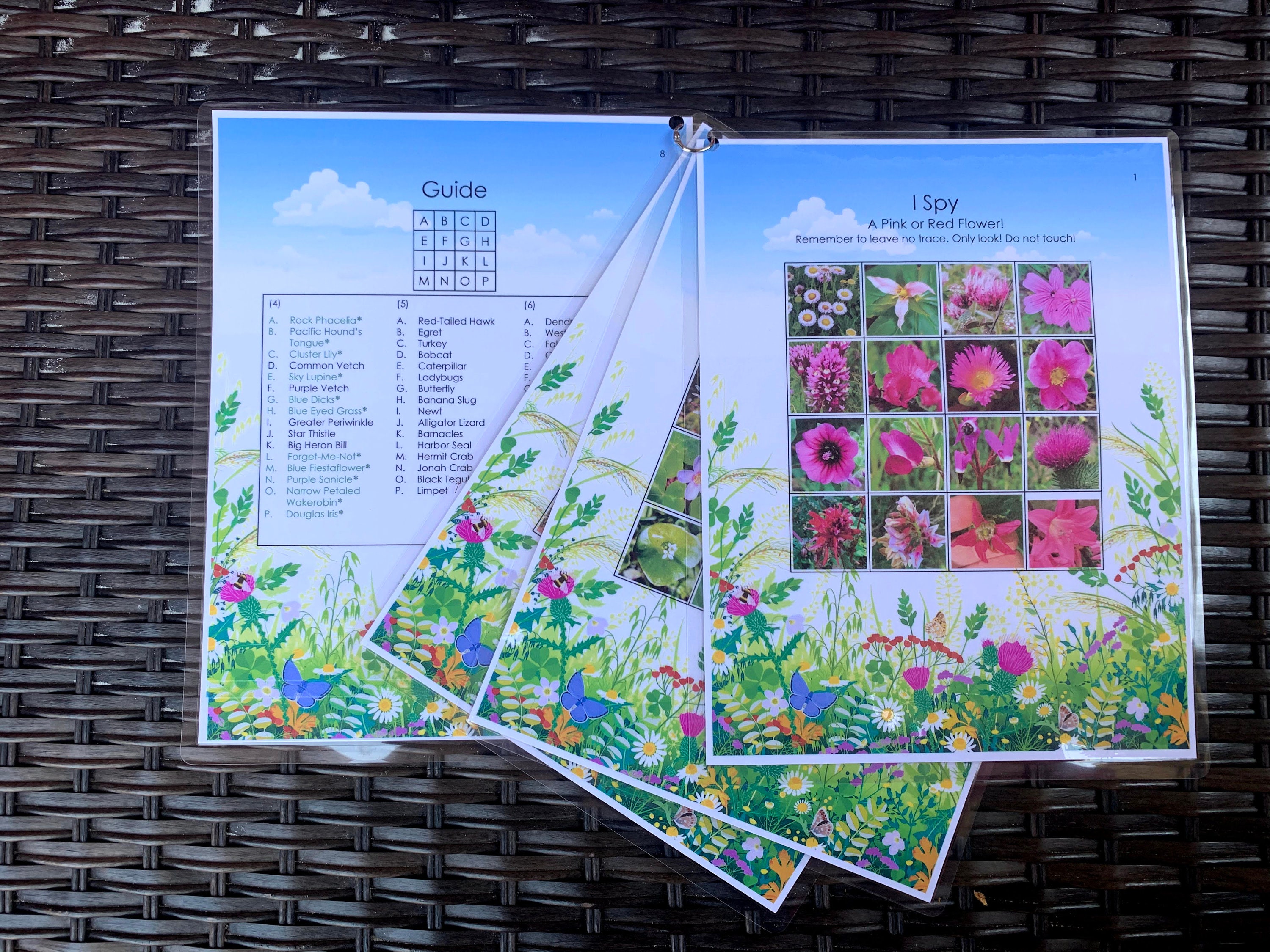 Outdoor or Nature I Spy Template Complete Bundle + Norcal Exclusive ...