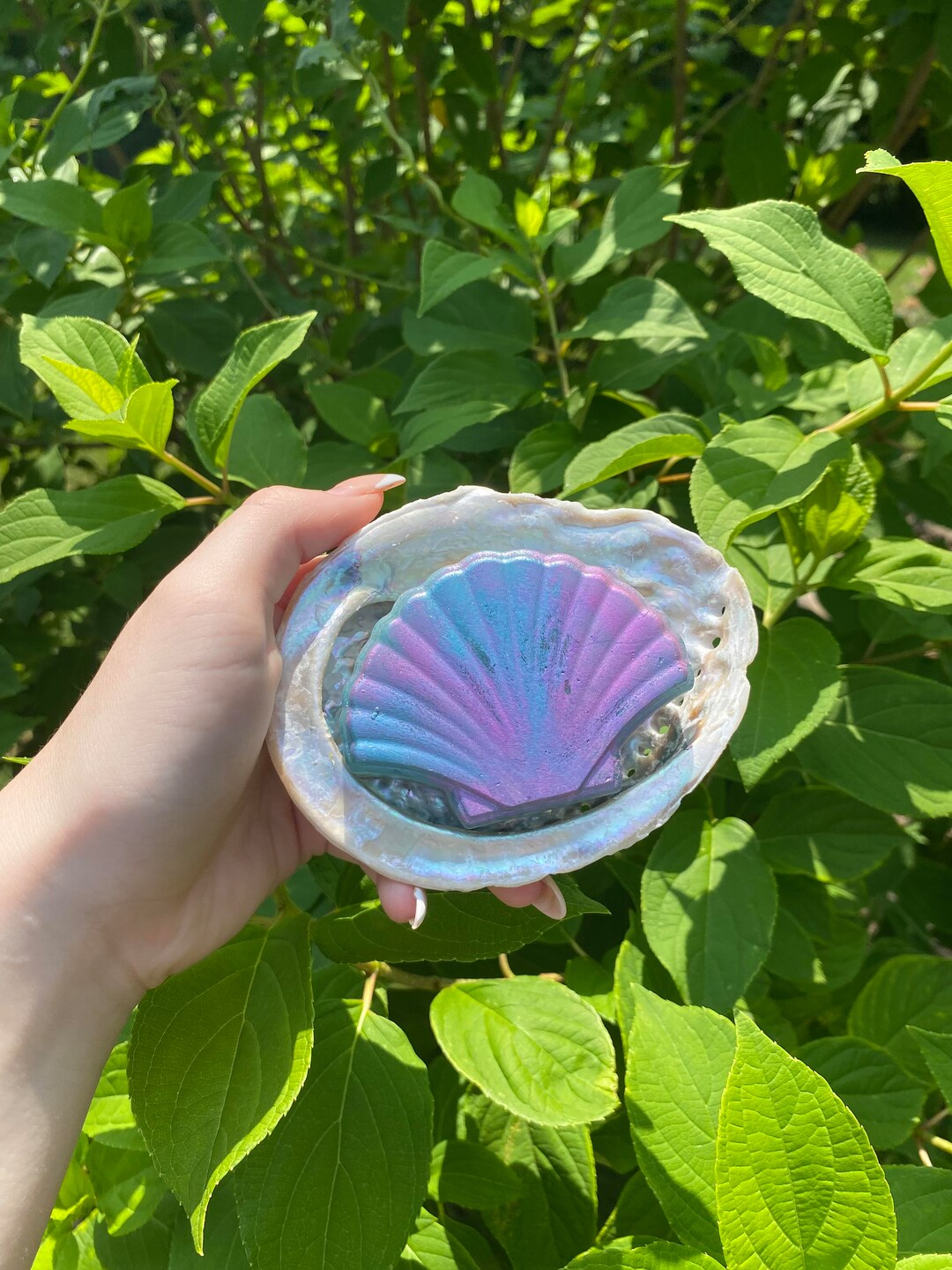 Mystical Seashell Soap - Etsy