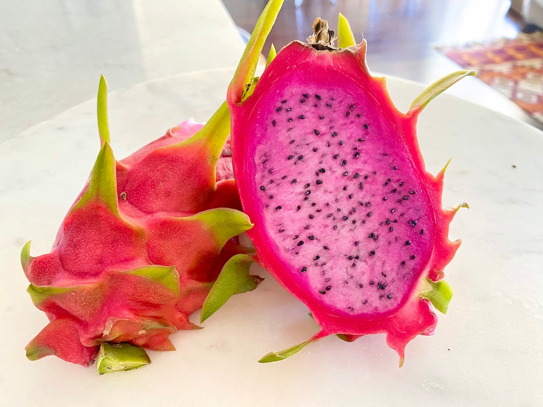 Pink Flesh Dragon Fruit Plant With Established Roots - 12-18" Pink ...