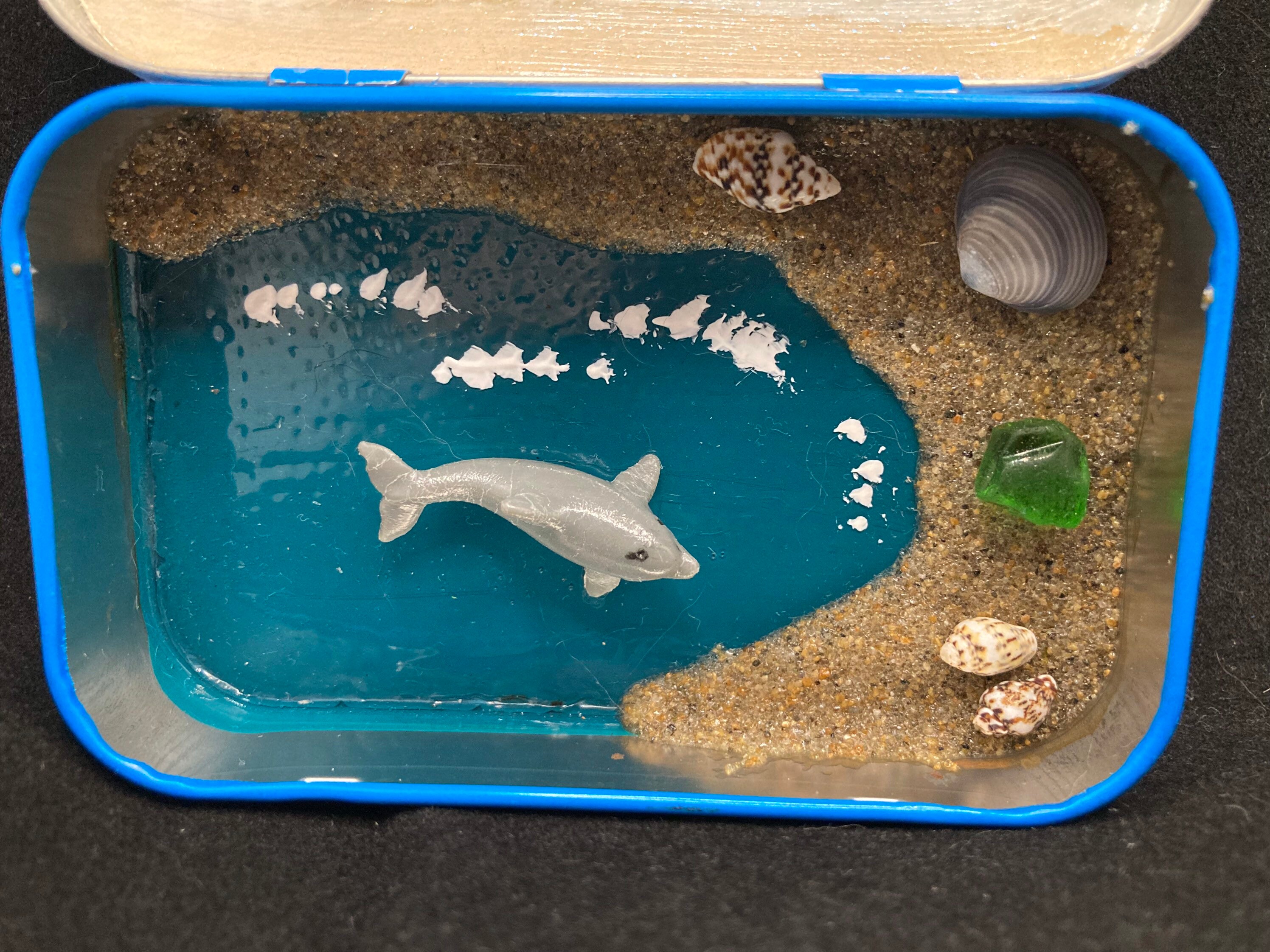 Pocket Beach With Dolphin and Sea Turtle - Etsy