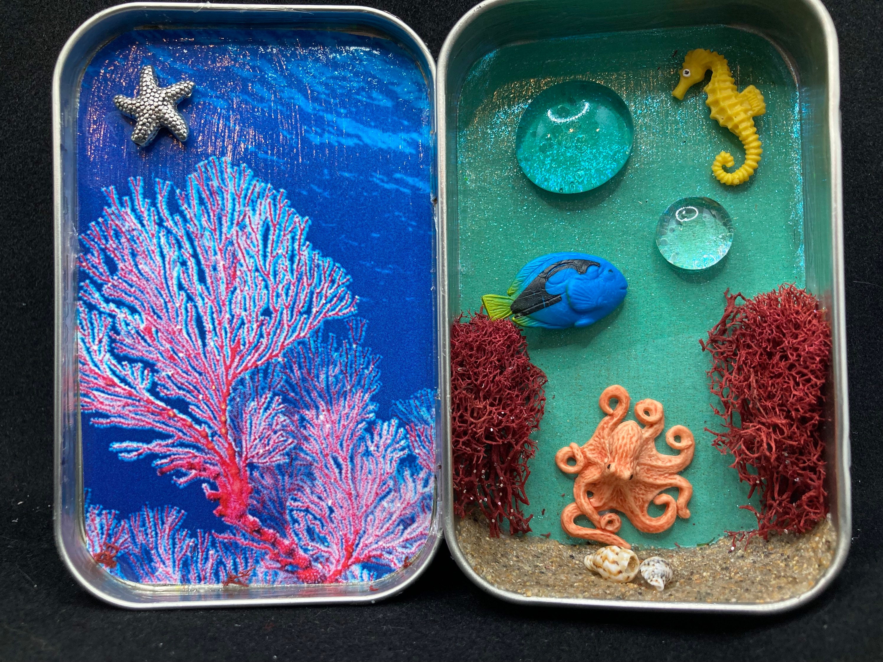 Coral Reef Diorama