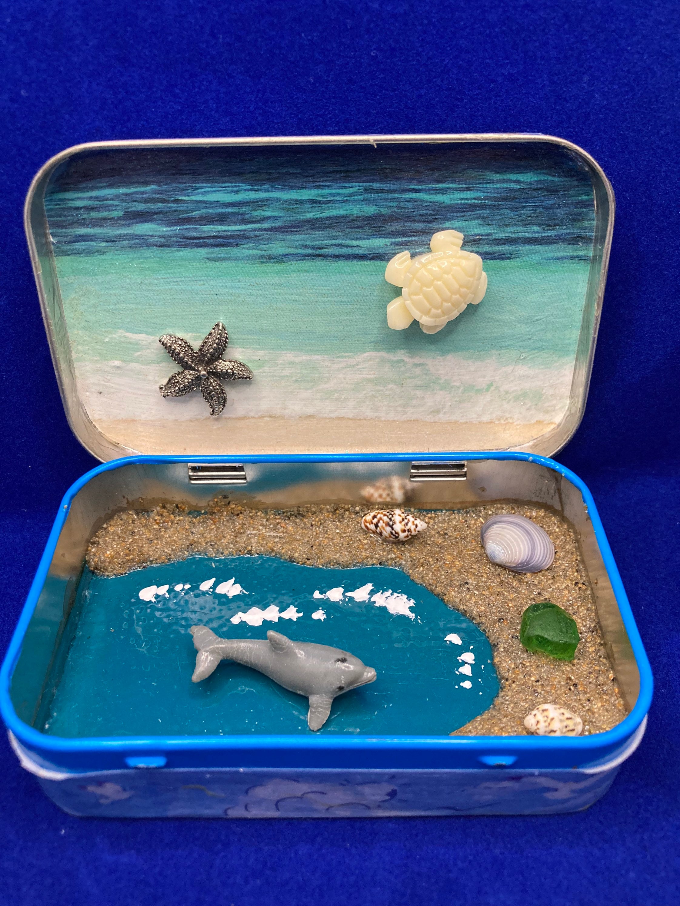Pocket Beach With Dolphin and Sea Turtle - Etsy