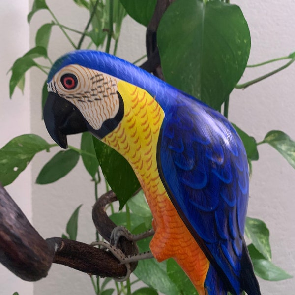 Hanging Parrot Pot - Etsy