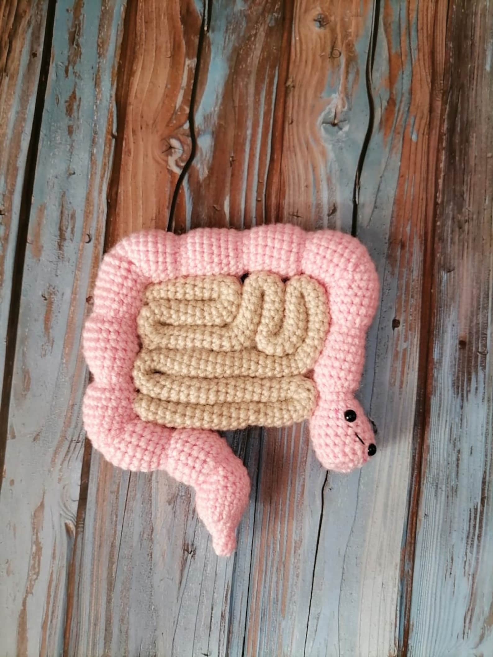 Human anatomical organs are crocheted heart brain lungs | Etsy