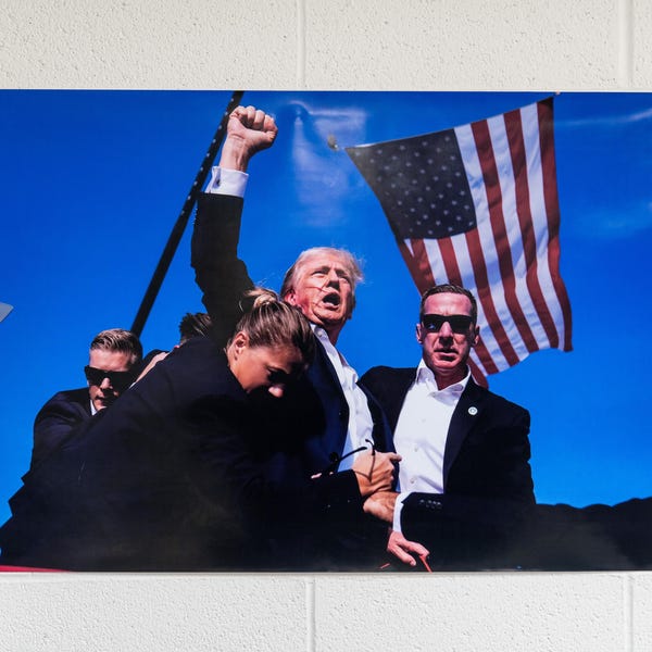 Donald Trump Poster - Etsy