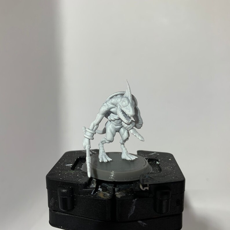 Lizardmen/skinks for Warhammer Age of Sigmar - Etsy