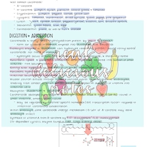Vitamin A and Carotenoids - Etsy