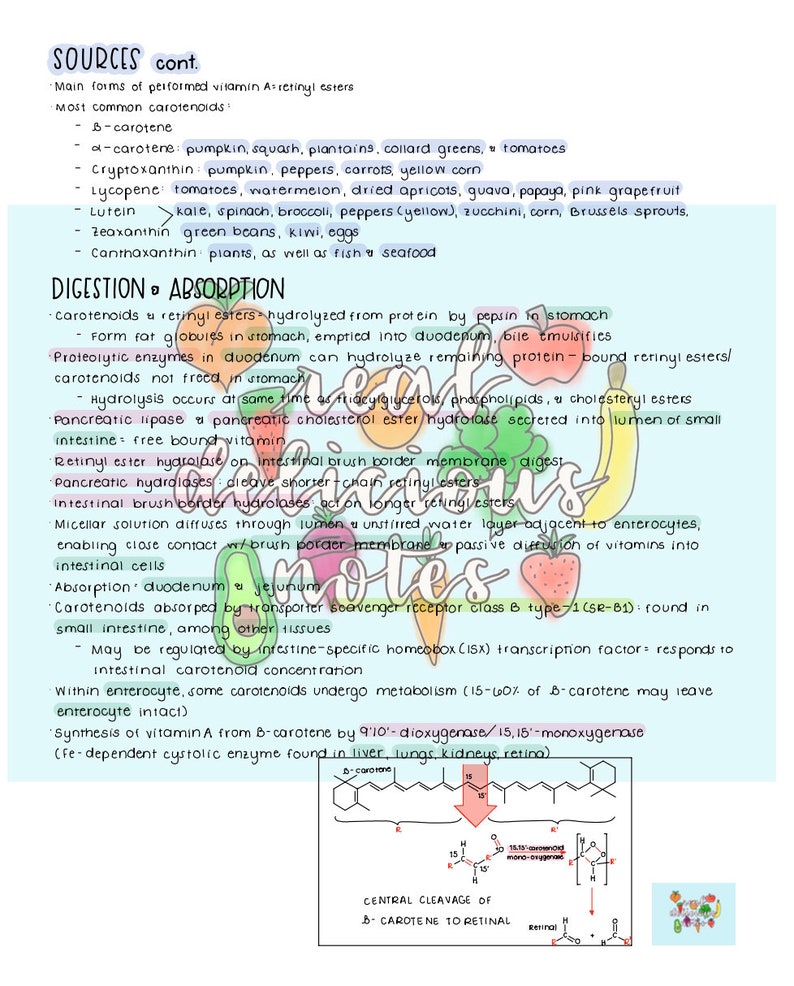Vitamin A and Carotenoids - Etsy