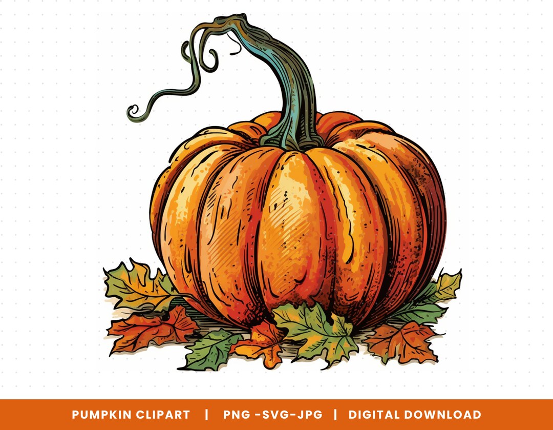 Fall Pumpkin Clipart High Res Vector JPG SVG PNG Digital - Etsy