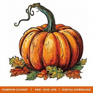 Fall Pumpkin Clipart High Res Vector JPG SVG PNG Digital - Etsy