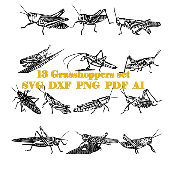 Grasshopper Insect Clipart