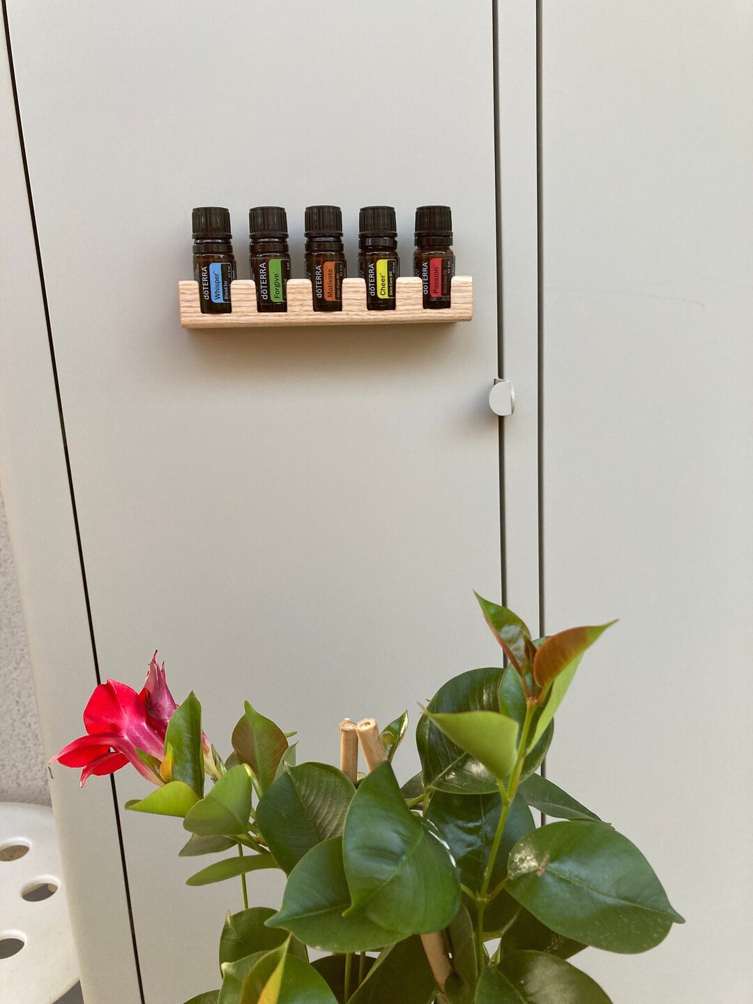 Set of 5 Oil Organizers WITH MAGNET for Hanging or as a Stand for ...