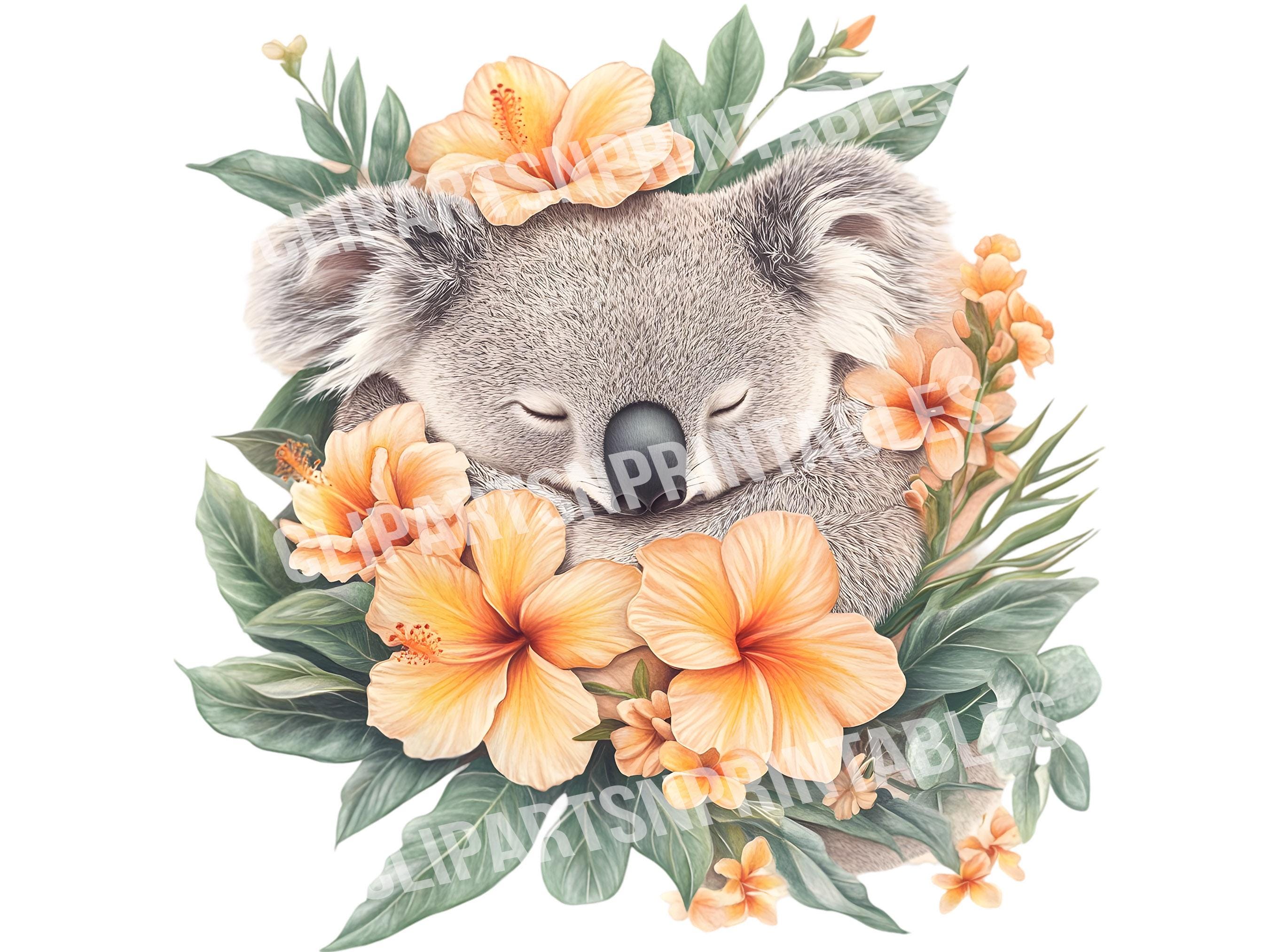 Koala Sleeping on Flowers Clipart - 21 High Quality Transparent ...