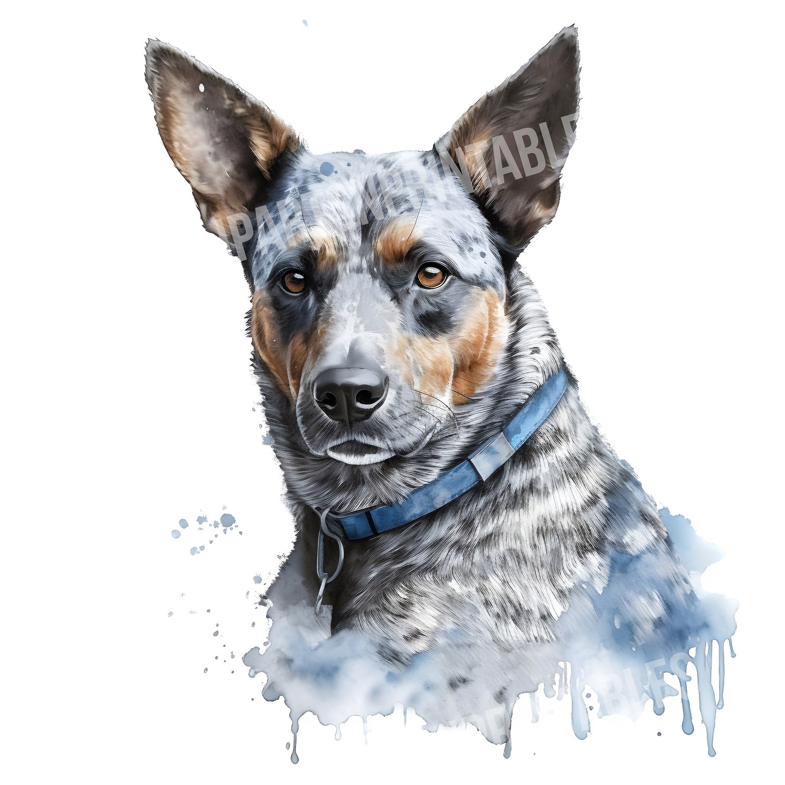 Blue Heeler Dog Clipart, 12 JPG and PNG Files for Digital Download ...