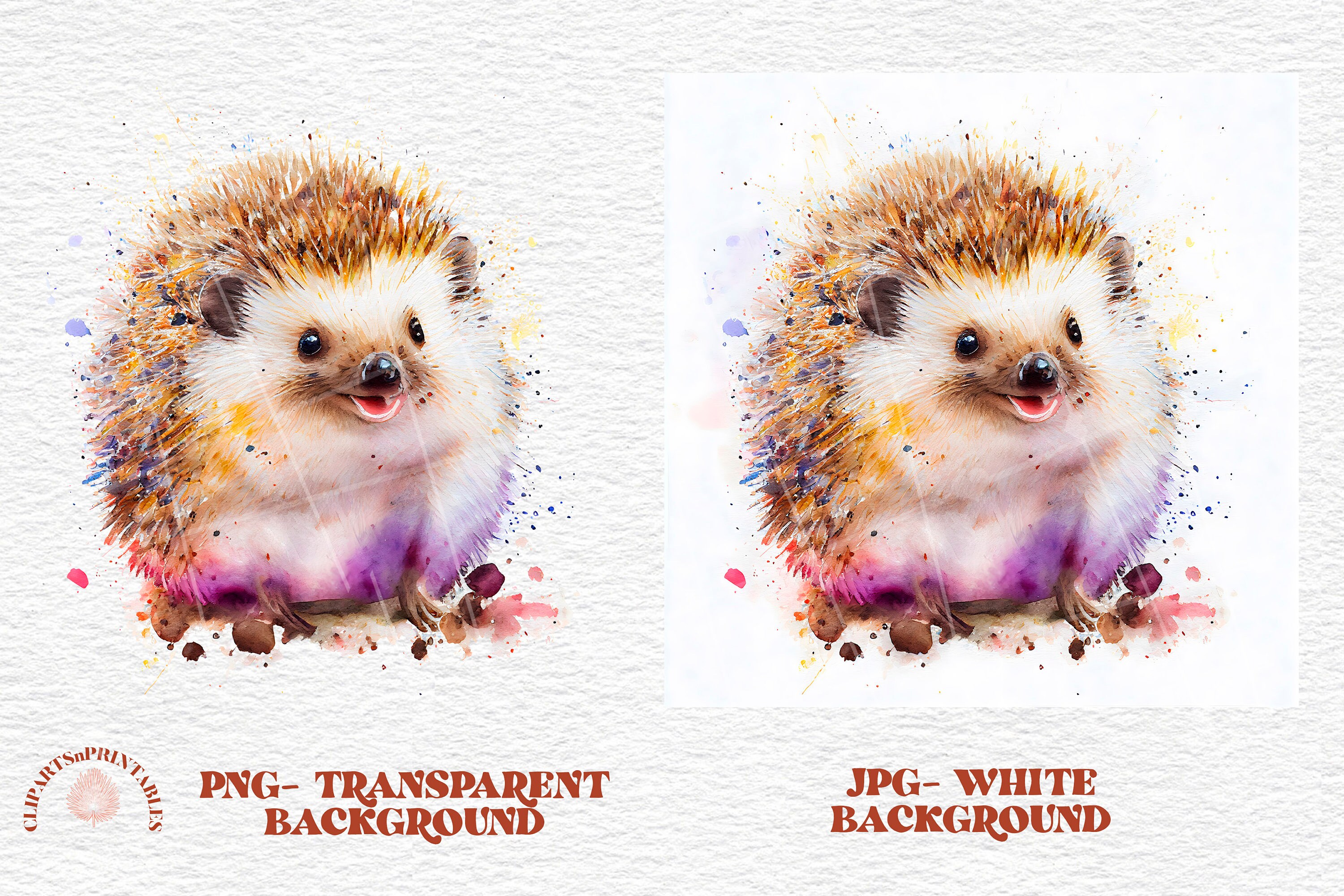 Cute Hedgehogs Smiling Clipart, JPG and PNG Files for Digital Download ...