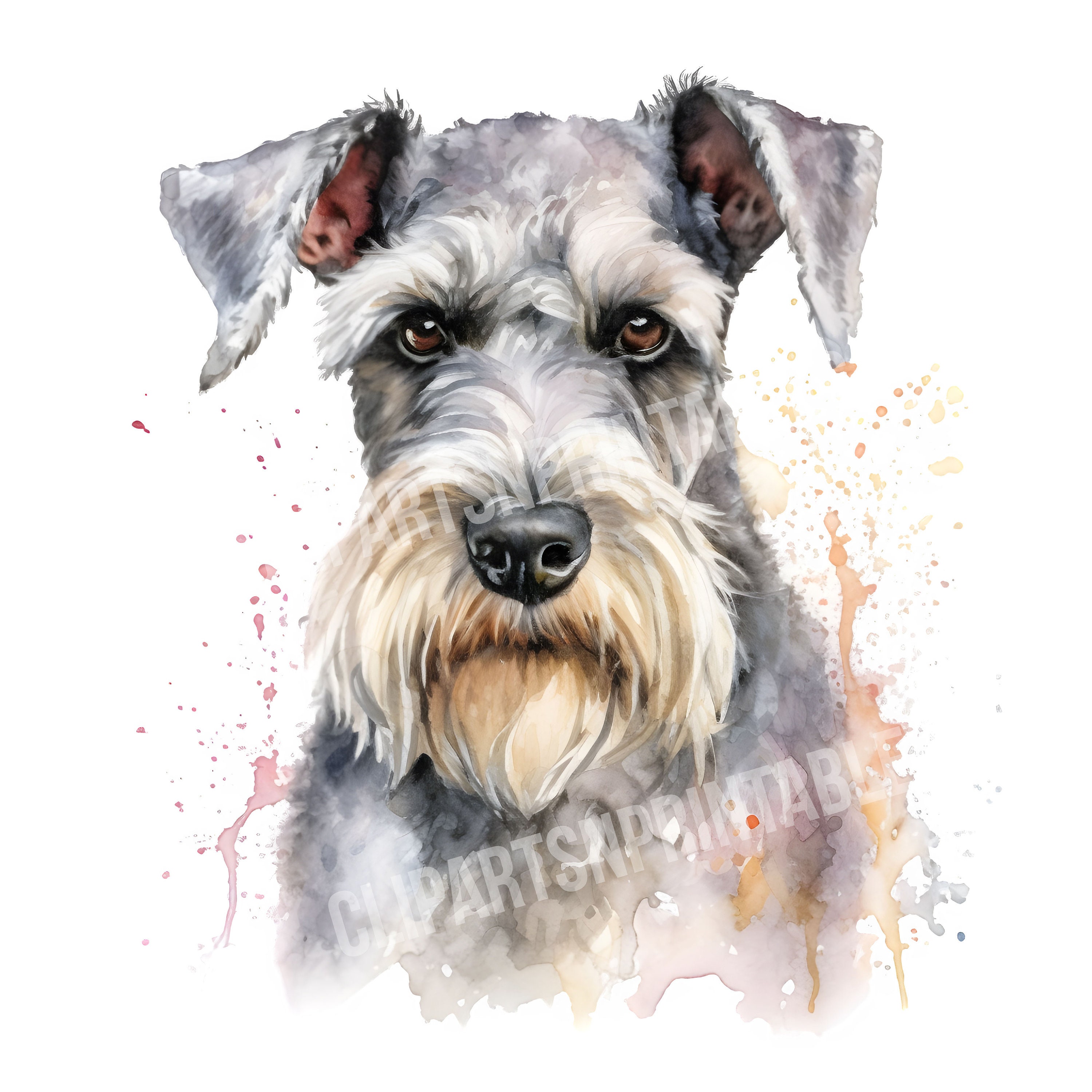 Miniature Schnauzer Dog Clipart, 12 JPG and PNG Files for Digital ...