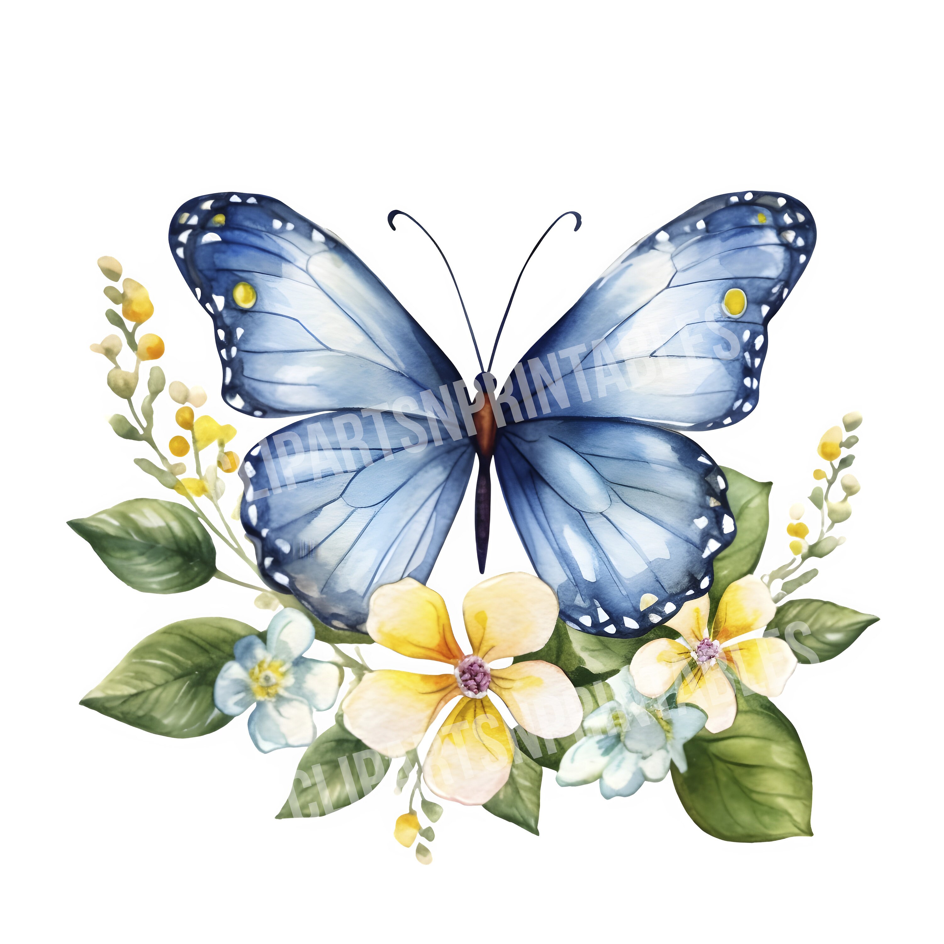 Butterfly and Flowers Watercolor Clipart, 12 Pngs and Jpgs and for ...