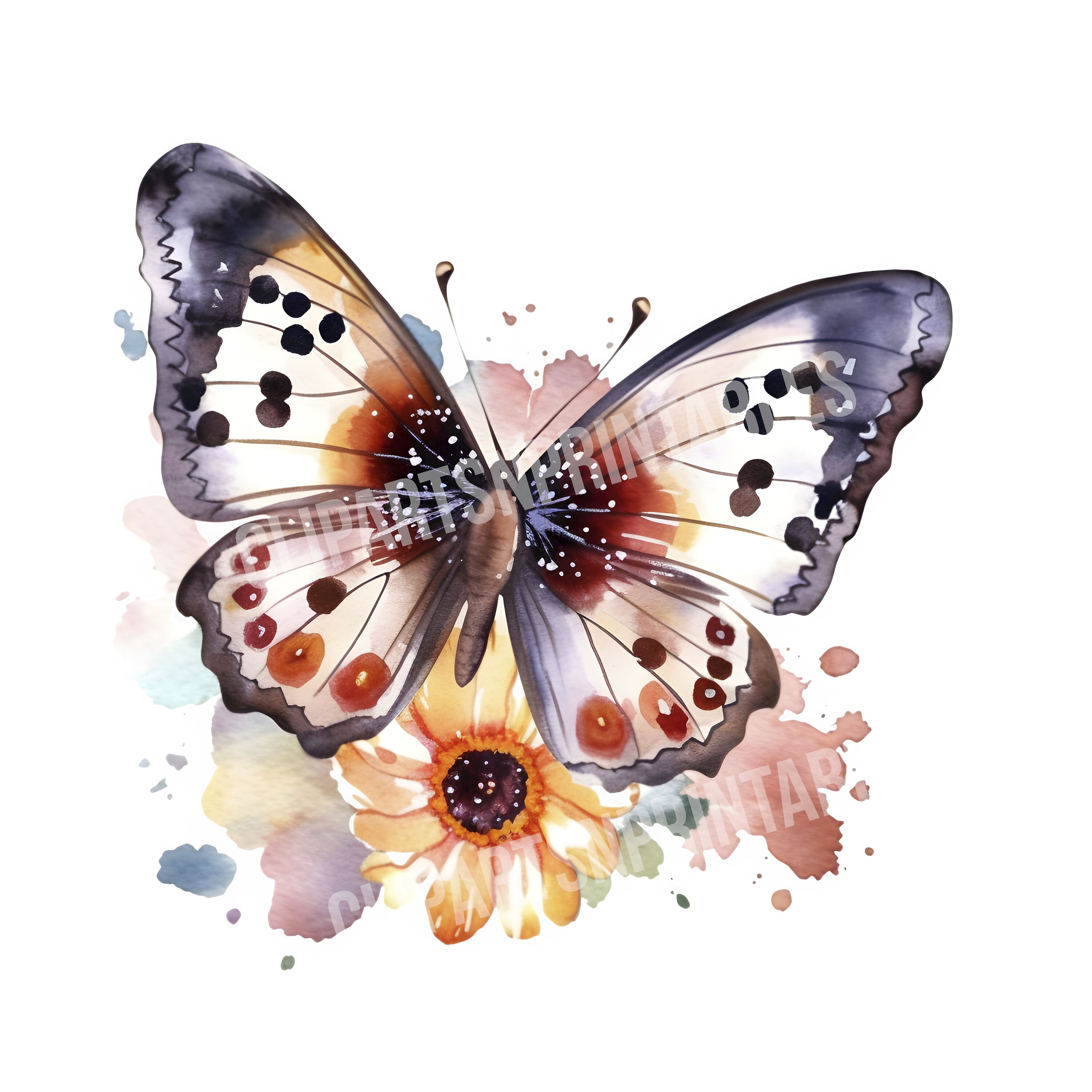 Butterfly and Flowers Watercolor Clipart, 12 Pngs and Jpgs and for ...