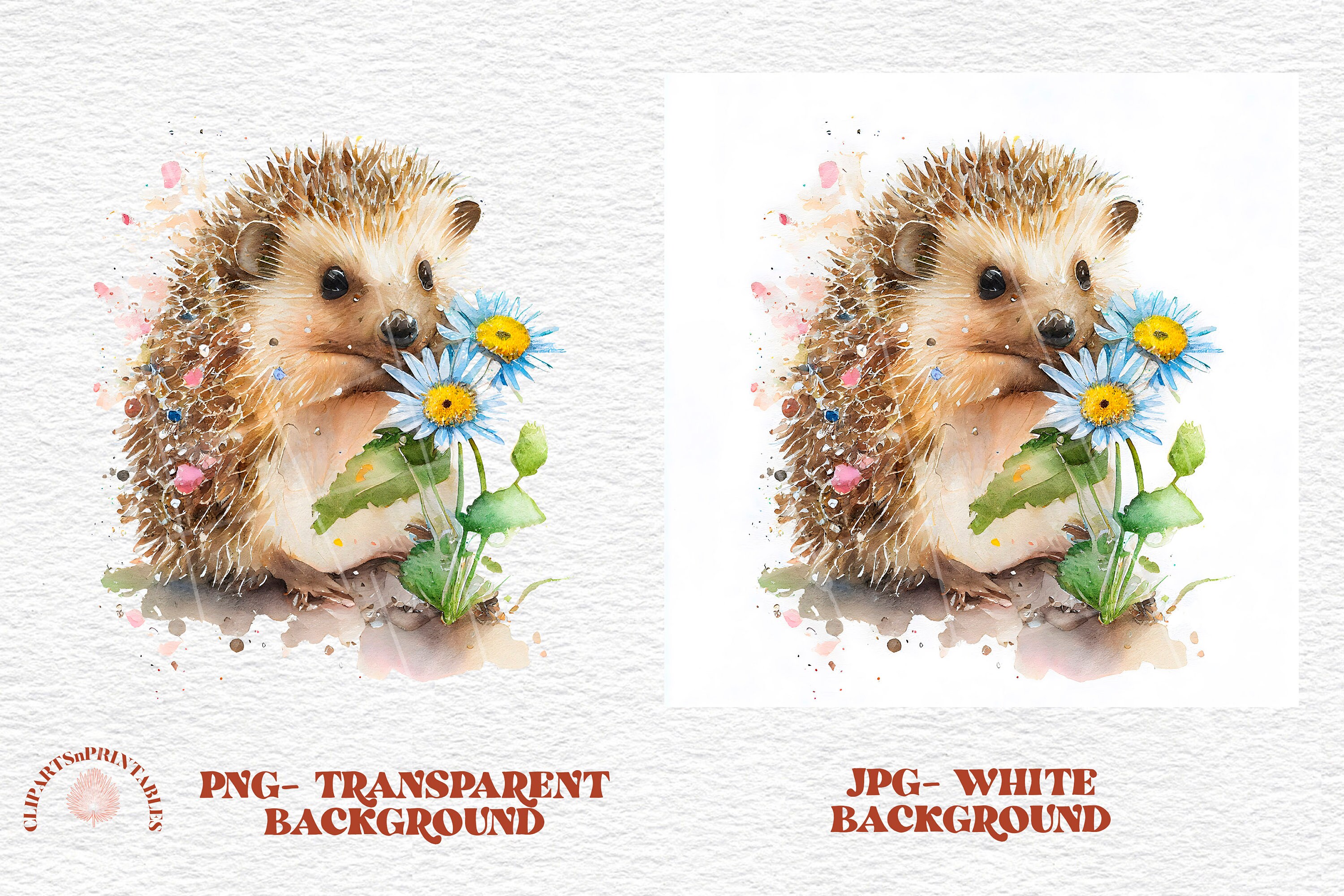 Cute Hedgehogs Smiling Clipart, JPG and PNG Files for Digital Download ...