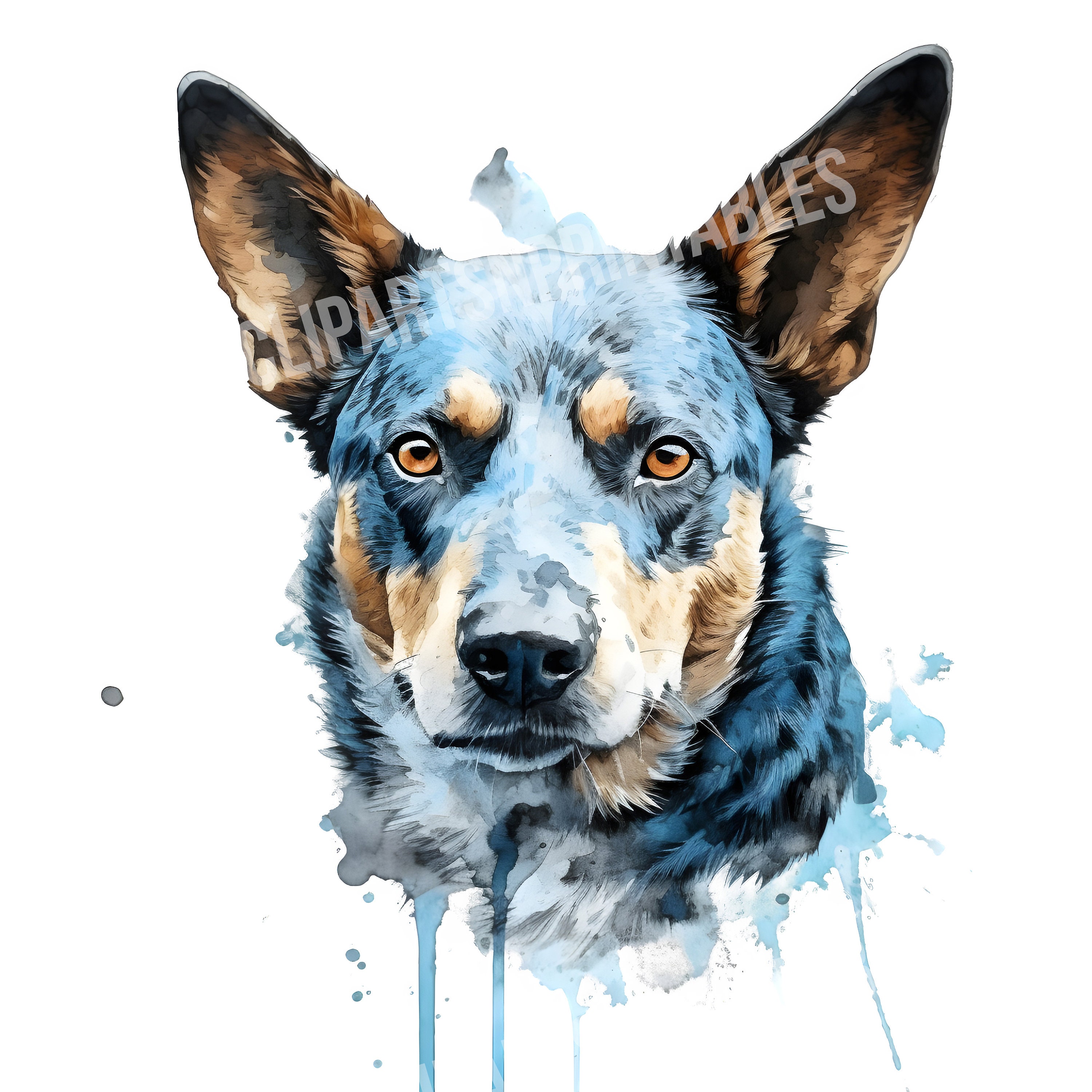 Blue Heeler Dog Clipart, 12 JPG and PNG Files for Digital Download ...