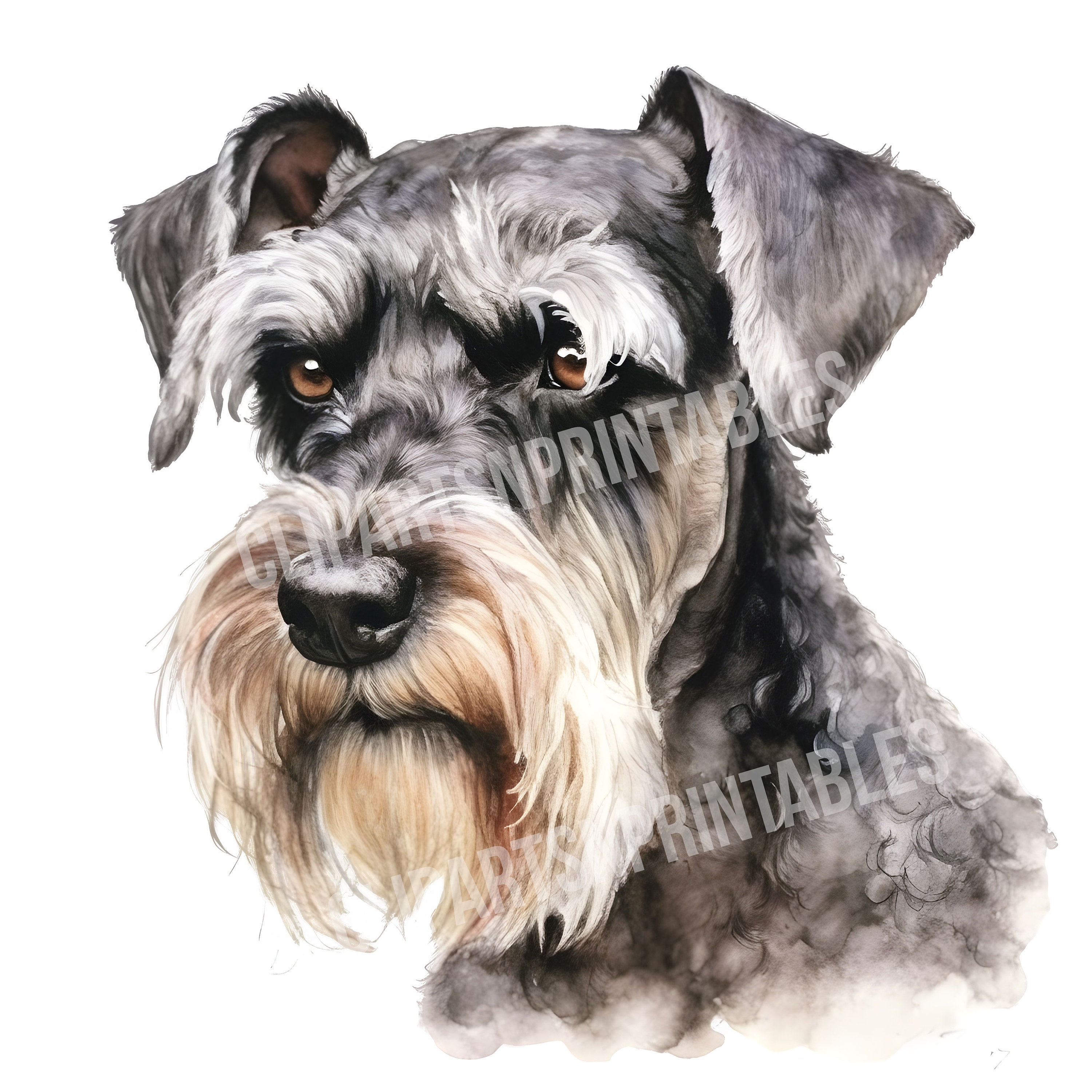 Miniature Schnauzer Dog Clipart, 12 JPG and PNG Files for Digital ...