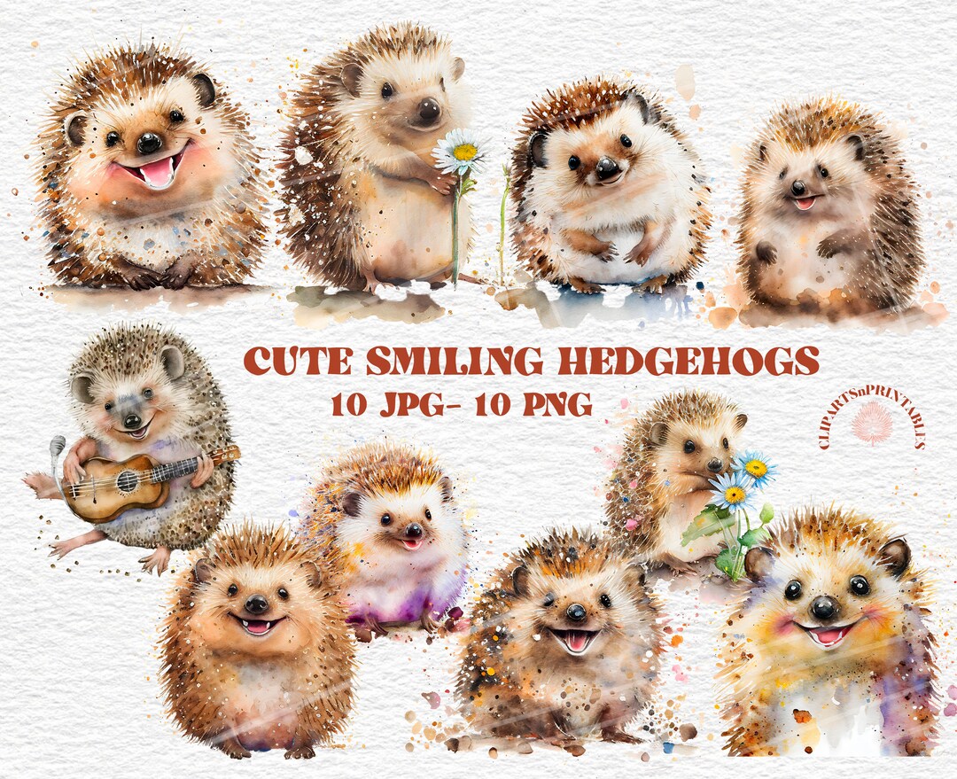 Cute Hedgehogs Smiling Clipart, JPG and PNG Files for Digital Download ...