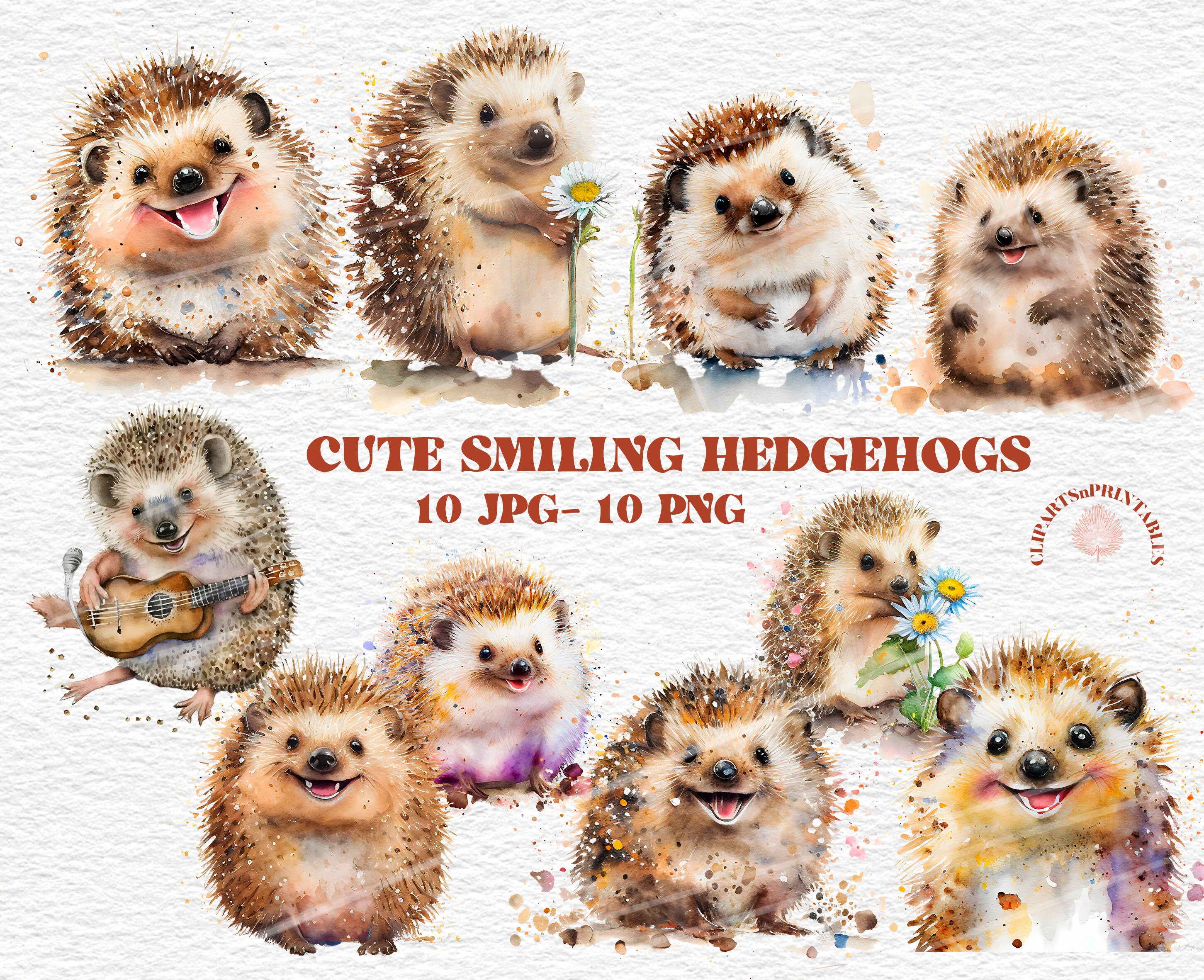 Cute Hedgehogs Smiling Clipart, JPG and PNG Files for Digital Download ...