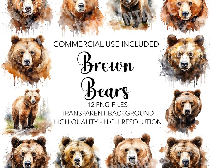 Brown Bears Clipart - 12 High Quality Transparent Background Pngs ...