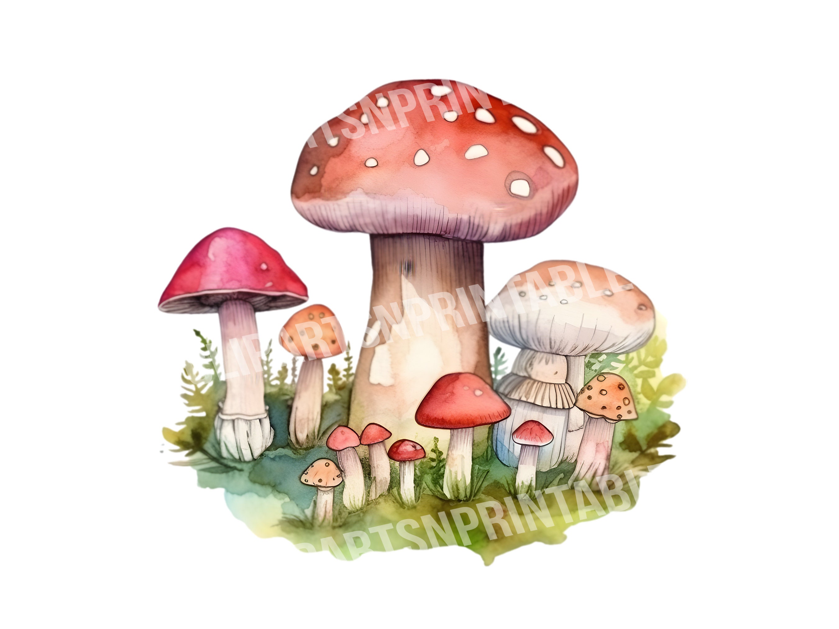 Toadstools Clipart - 12 High Quality Transparent Background Pngs ...
