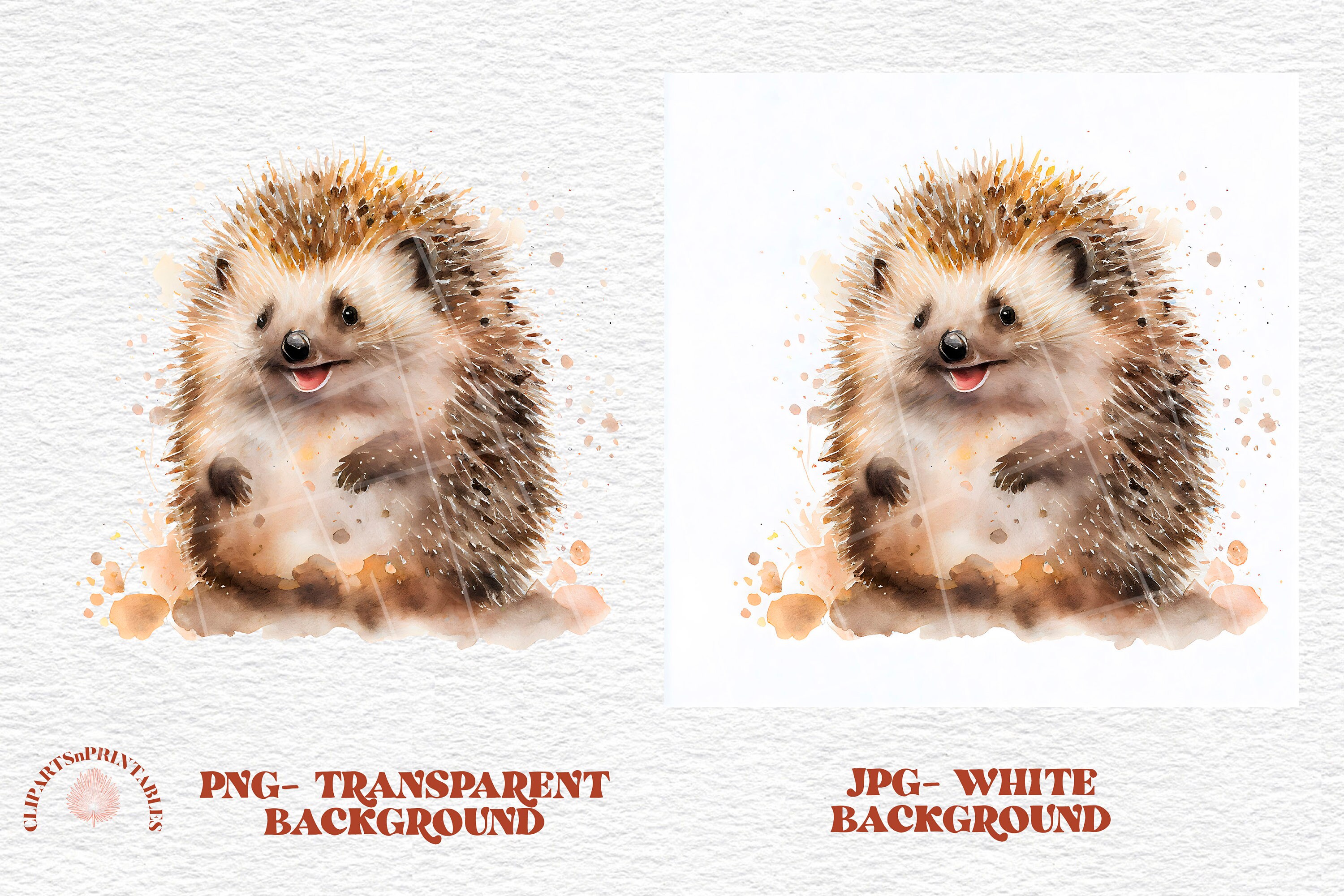 Cute Hedgehogs Smiling Clipart, JPG and PNG Files for Digital Download ...