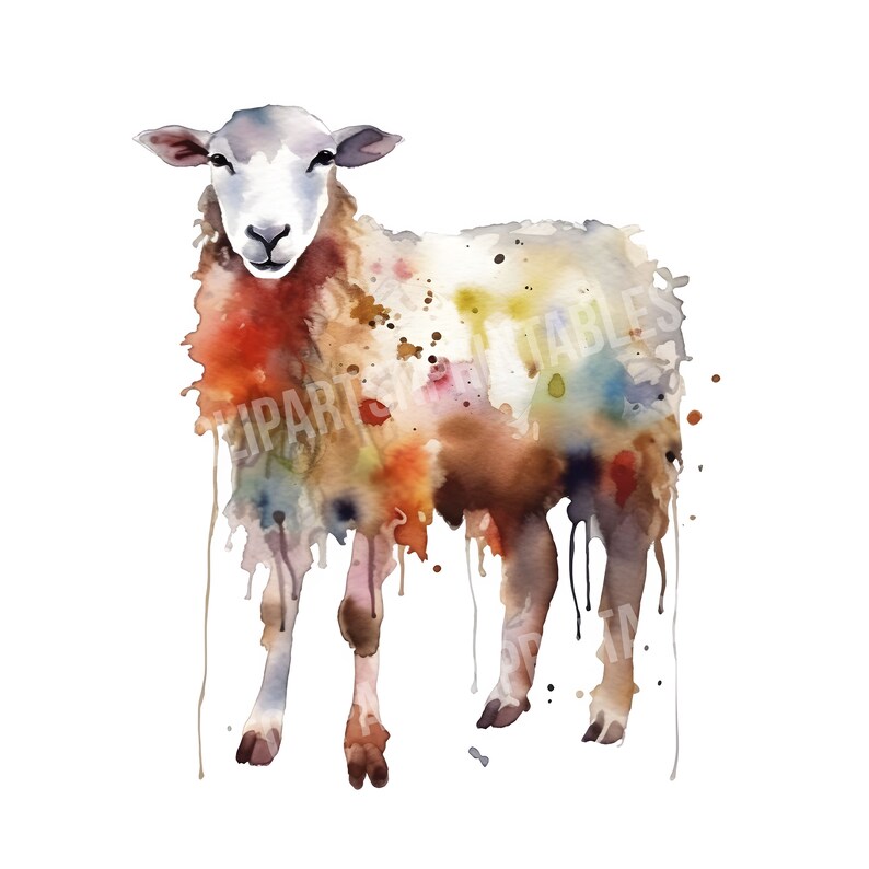Sheep Watercolor Clipart, 12 Pngs and Jpgs and for Digital Download ...