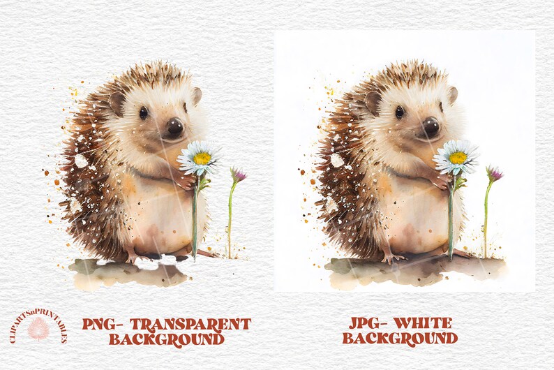 Cute Hedgehogs Smiling Clipart, JPG and PNG Files for Digital Download ...