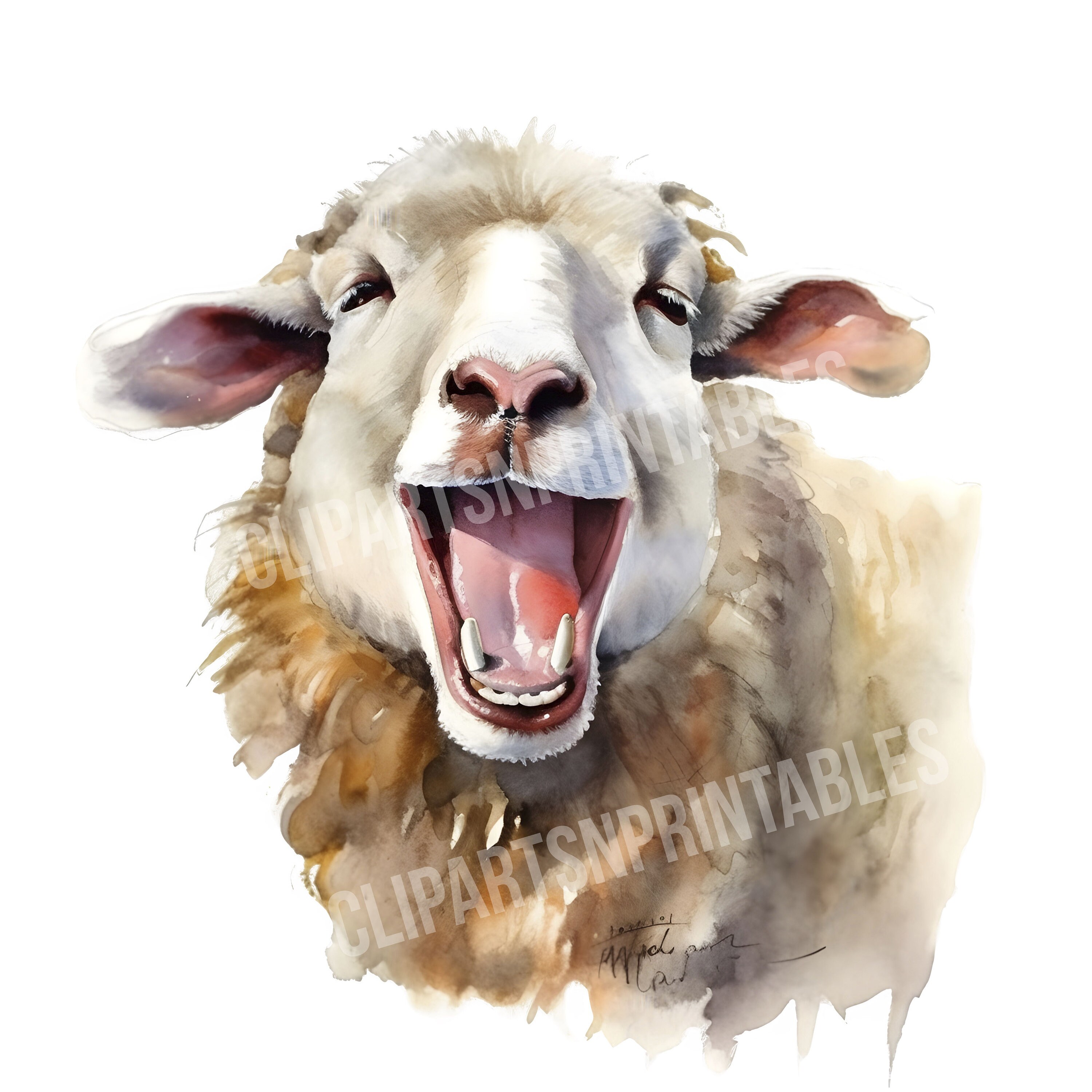 Sheep Watercolor Clipart, 12 Pngs and Jpgs and for Digital Download ...