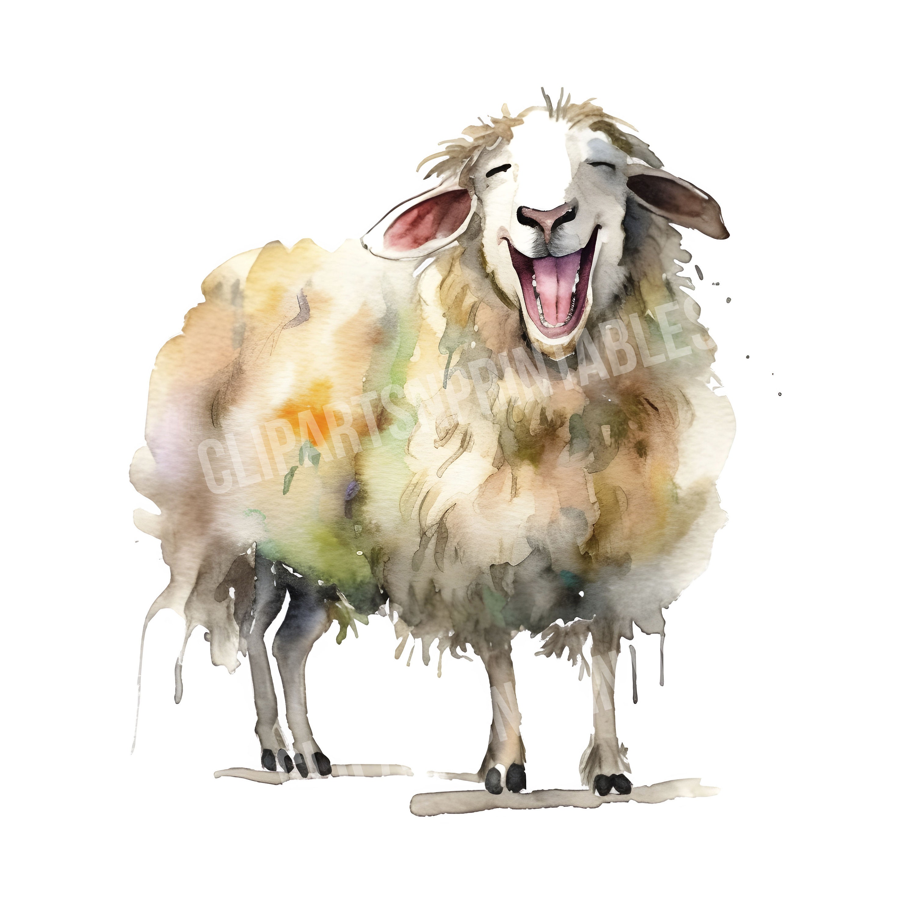 Sheep Watercolor Clipart, 12 Pngs and Jpgs and for Digital Download ...