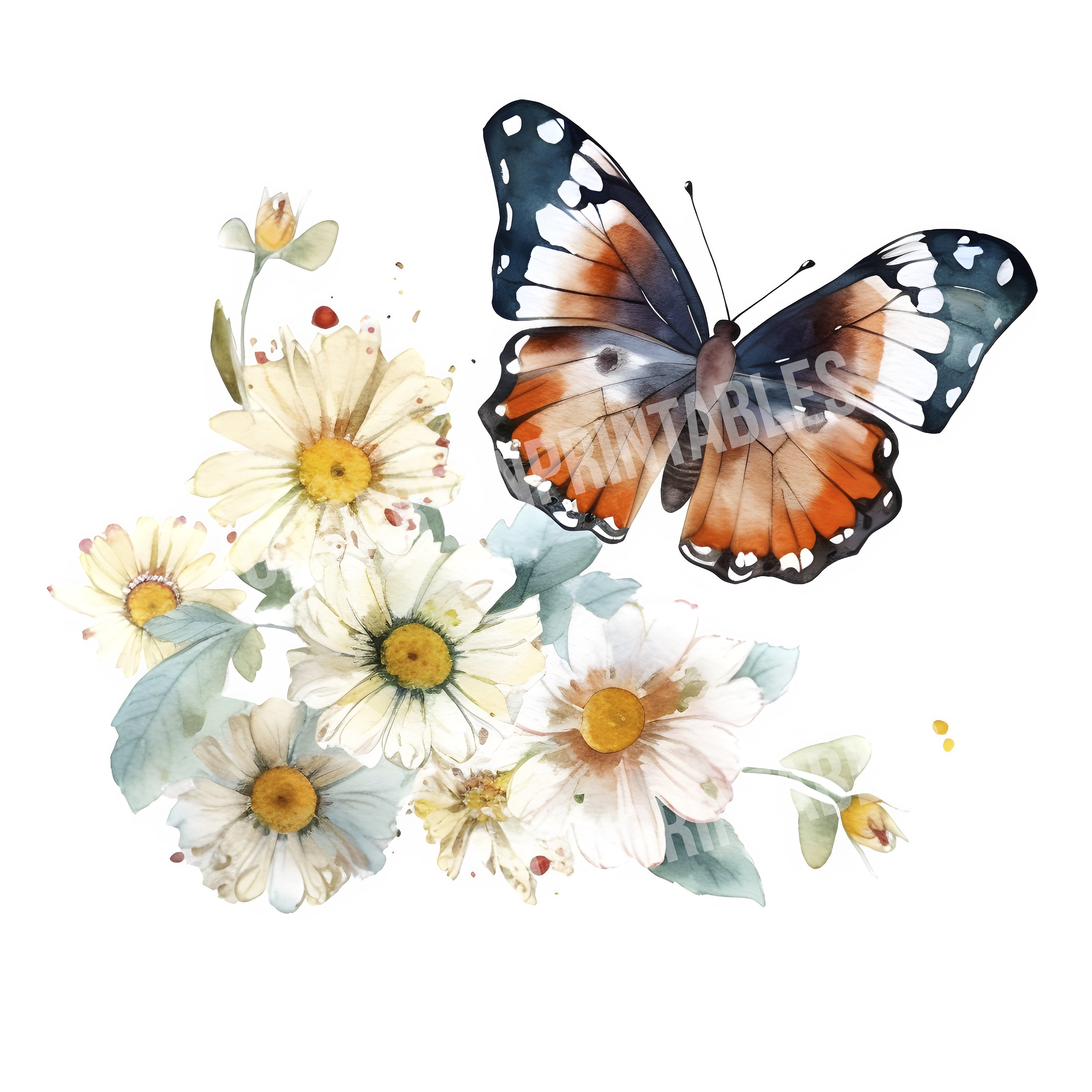 Butterfly and Flowers Watercolor Clipart, 12 Pngs and Jpgs and for ...