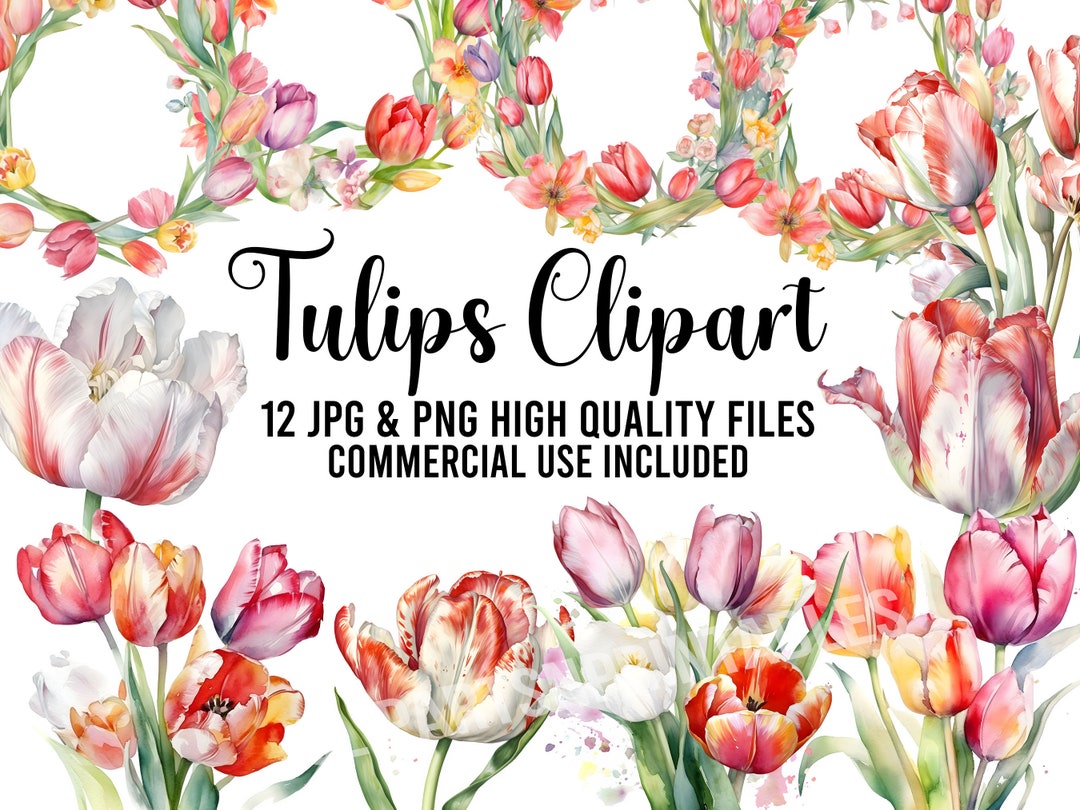 Tulips Watercolor Clipart, 12 Pngs and Jpgs and for Digital Download ...