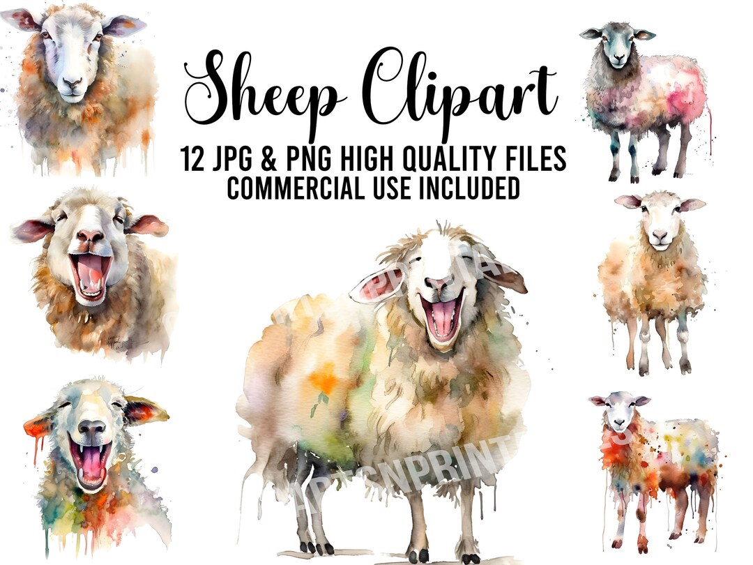Sheep Watercolor Clipart, 12 Pngs and Jpgs and for Digital Download ...