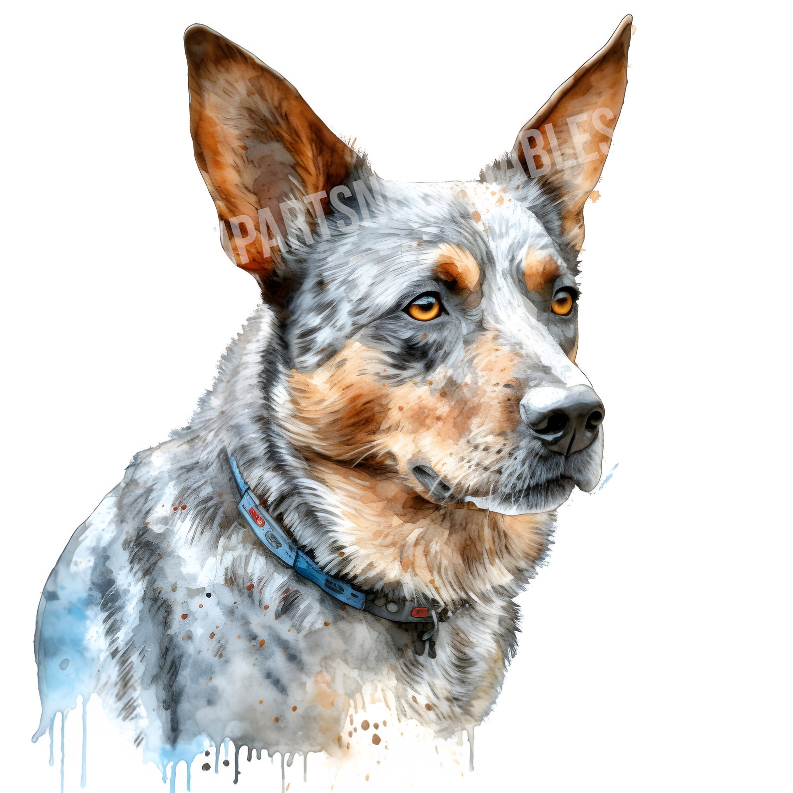 Blue Heeler Dog Clipart, 12 JPG and PNG Files for Digital Download ...