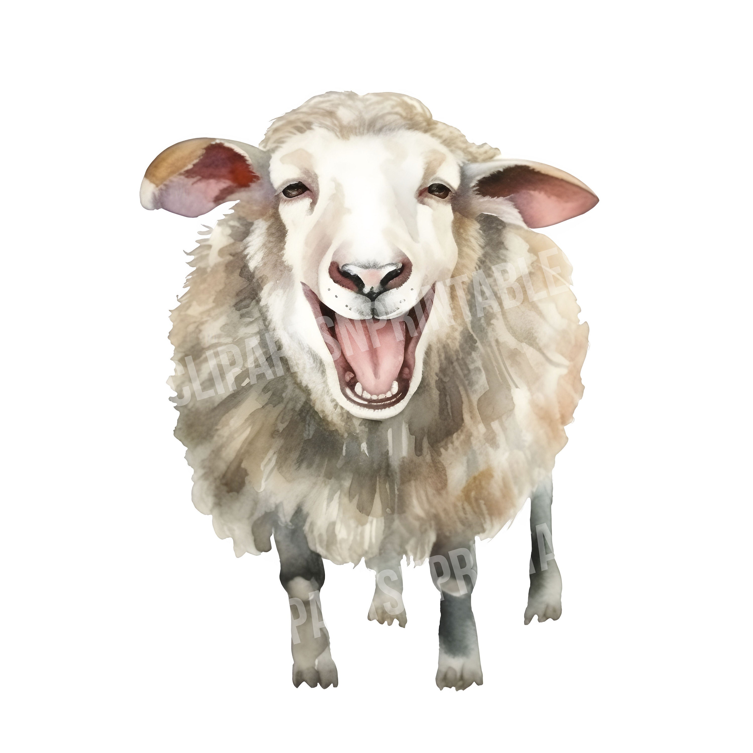 Sheep Watercolor Clipart, 12 Pngs and Jpgs and for Digital Download ...